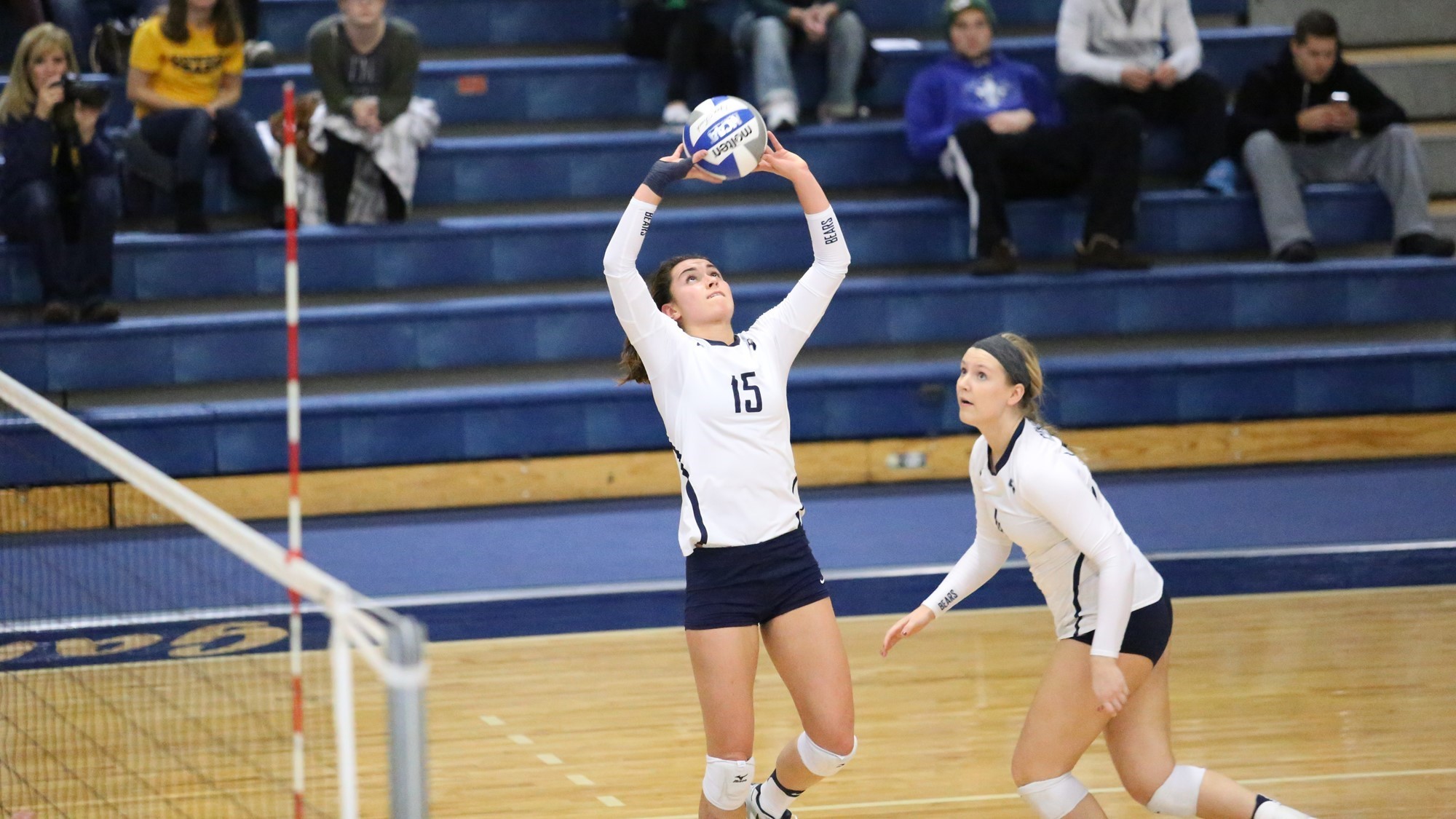 Kasey Williams - Volleyball - Concordia University, St. Paul Athletics