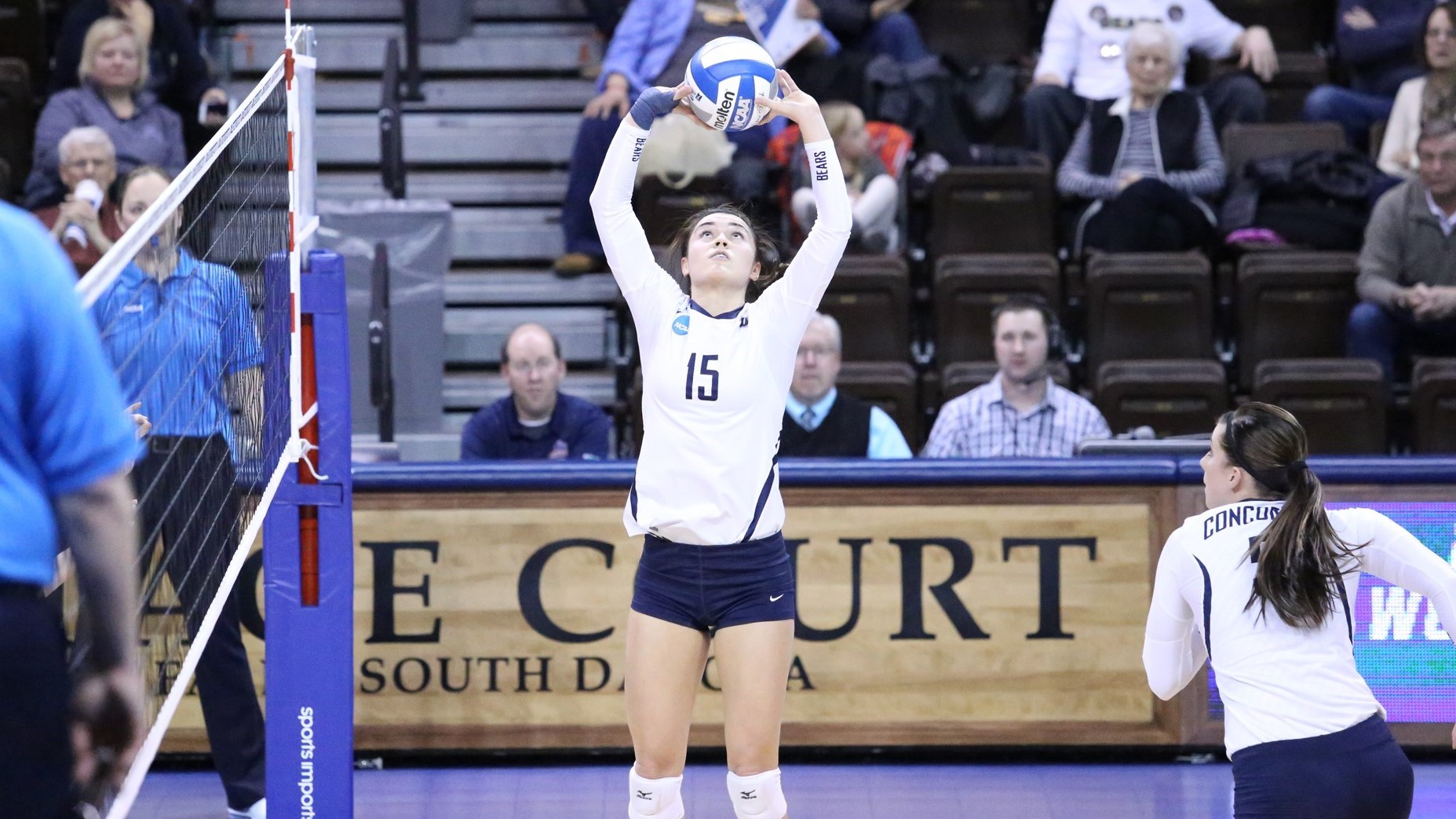 Kasey Williams - Volleyball - Concordia University, St. Paul Athletics