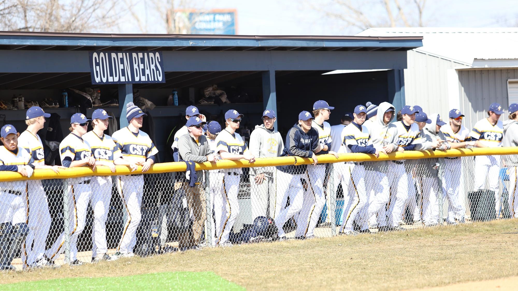 Golden Bears head north for weekend series with Golden Eagles ...