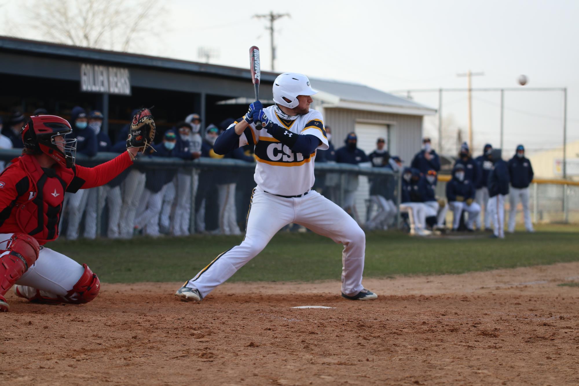 Ted Elsner - Baseball - Concordia University, St. Paul Athletics