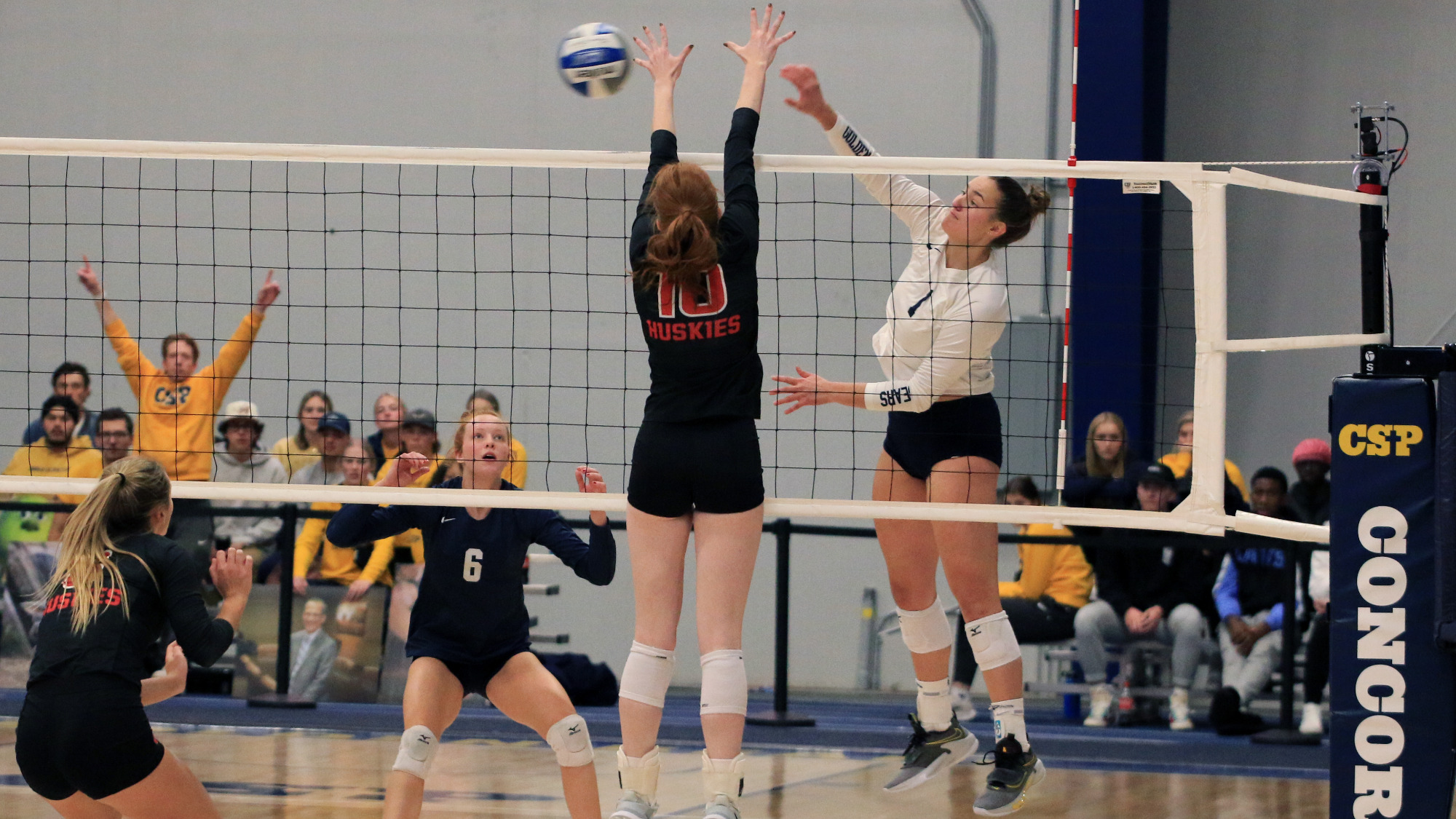 Golden Bears add two more wins on Friday - Concordia University, St ...