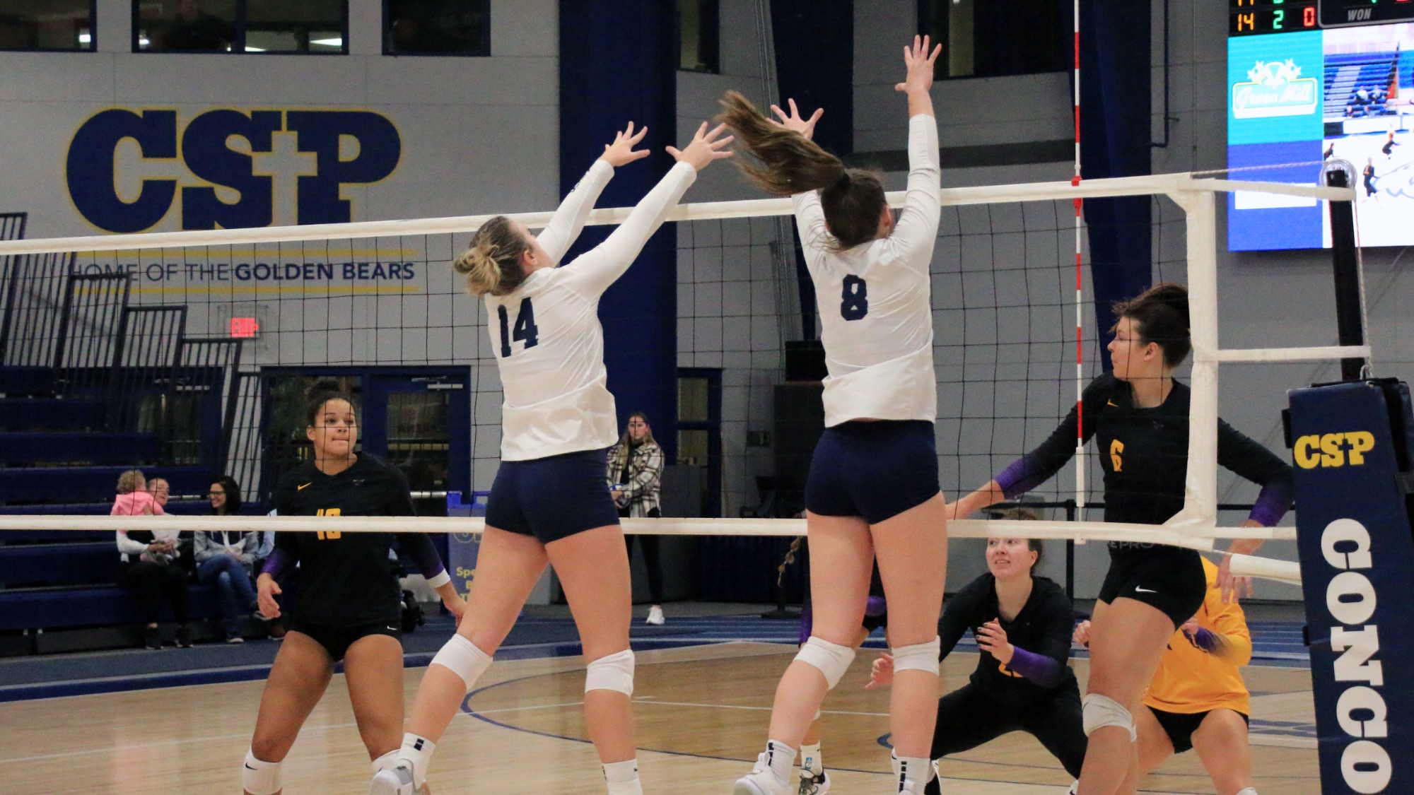 Golden Bears hold off Mustangs for five-set win - Concordia University ...