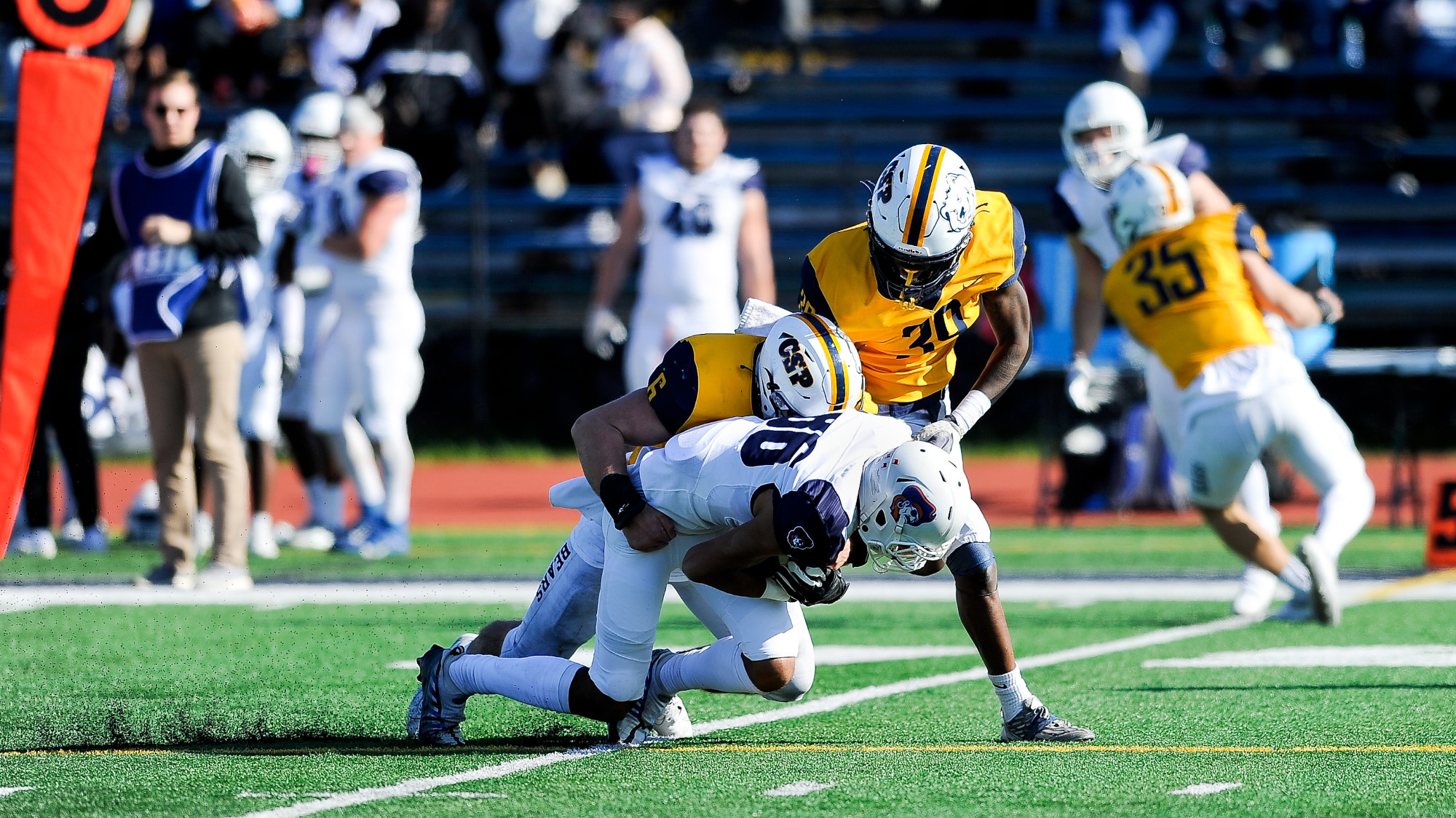 Egnarski breaks tackles record in loss to Mary - Concordia University ...