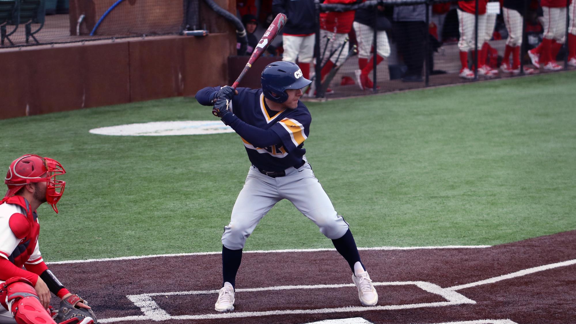 Bryce Nelson - Baseball - Concordia University, St. Paul Athletics