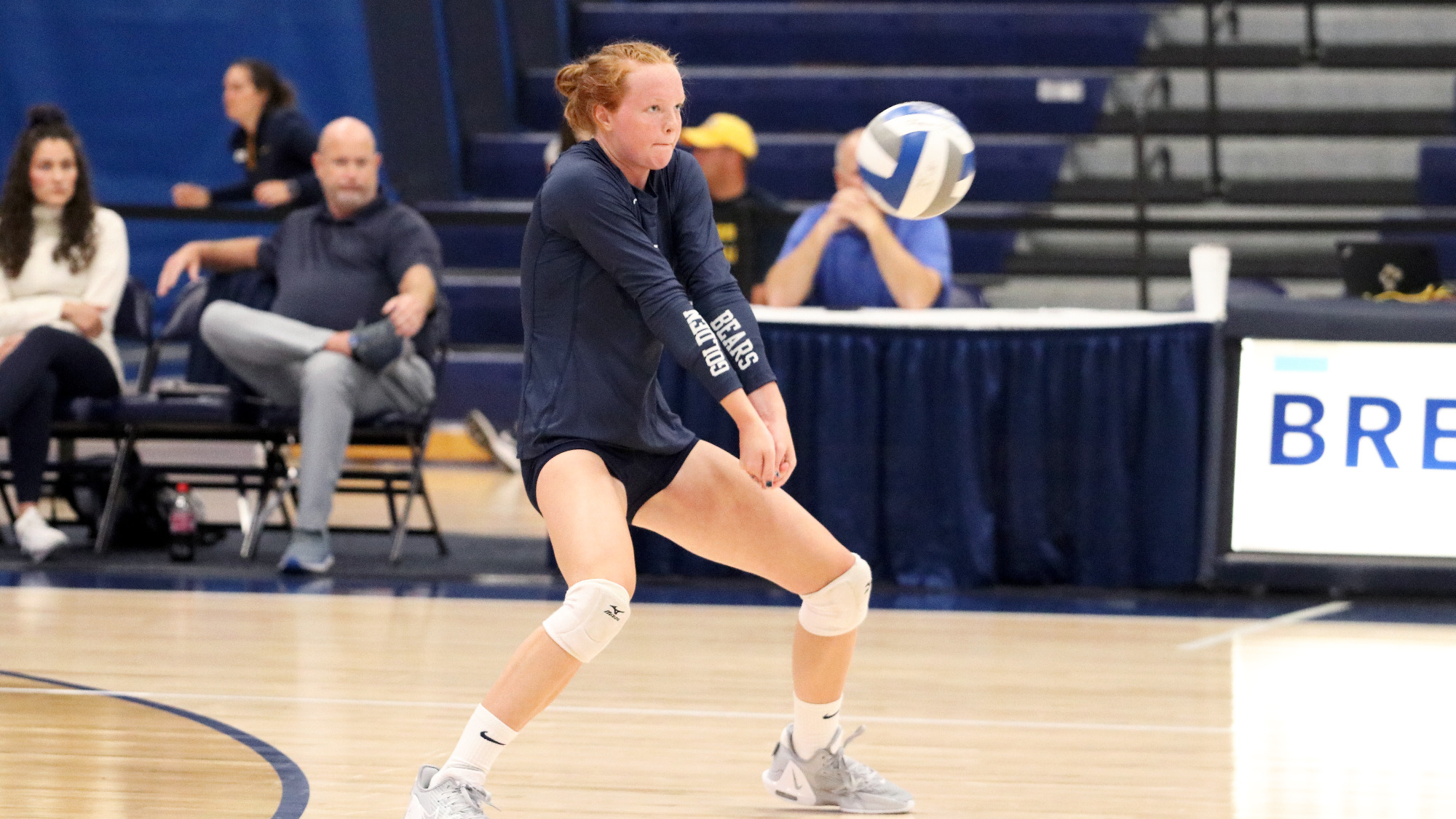 Golden Bears sweep Ashland in season opener - Concordia University, St ...