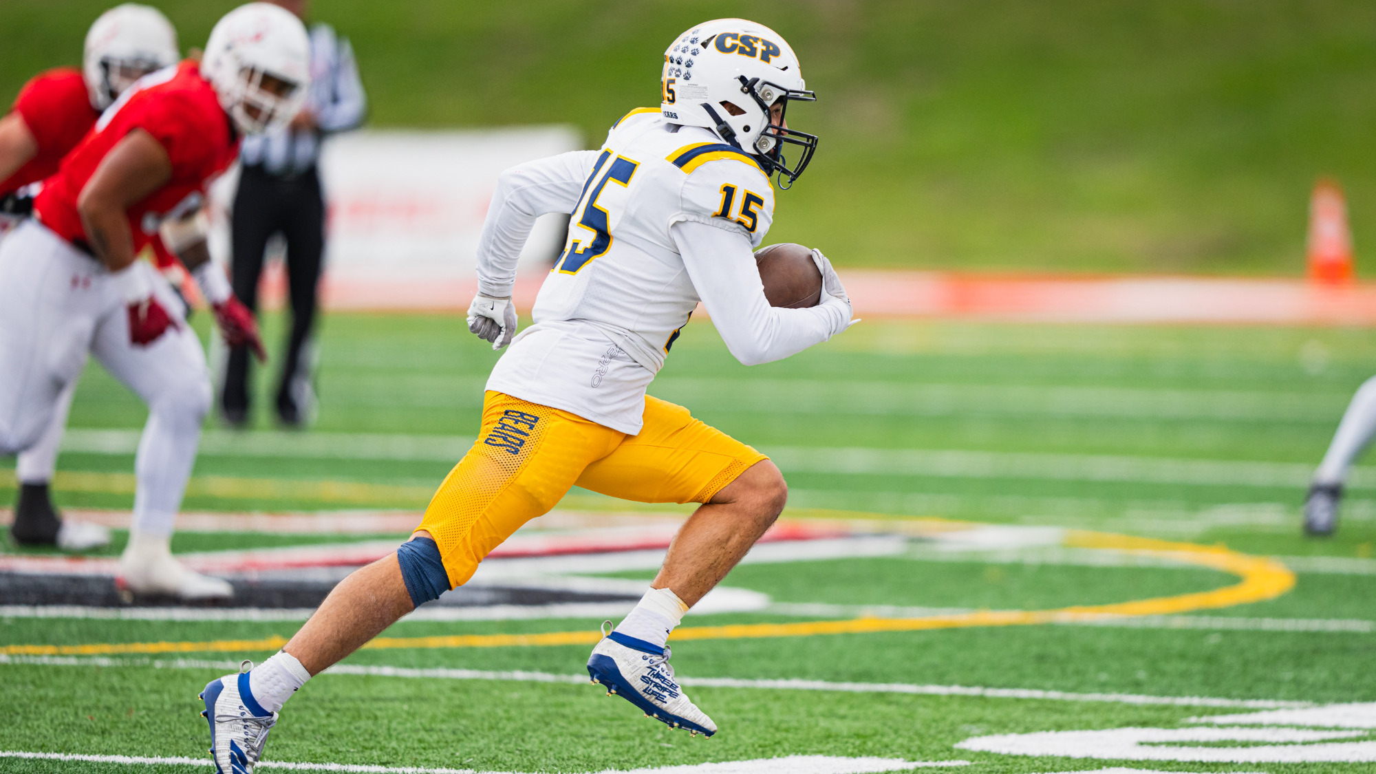 Golden Bears fall on the road in defensive struggle - Concordia ...
