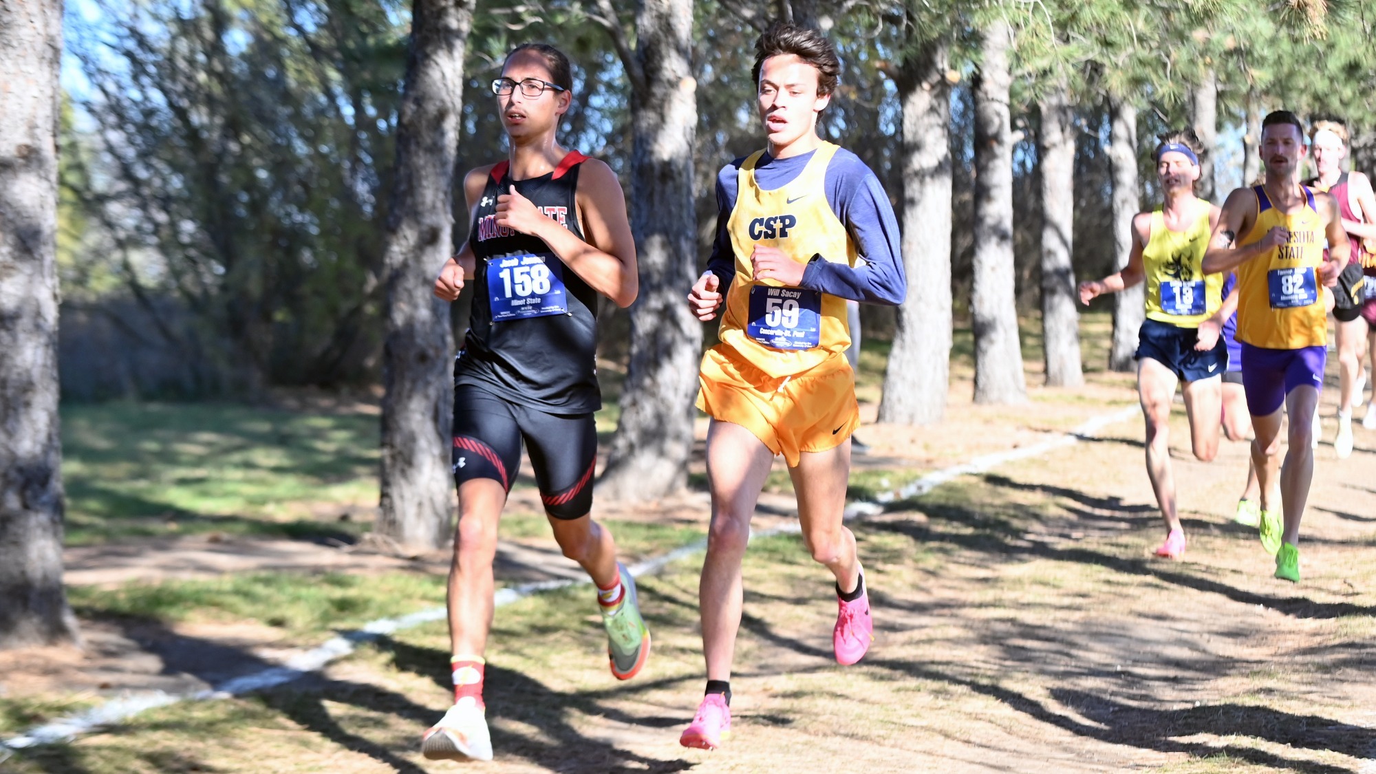 Golden Bear cross country wraps up season at Central Regional ...
