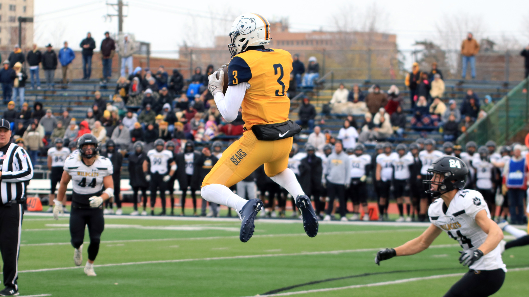 Golden Bears fall to Wildcats in season finale - Concordia University ...