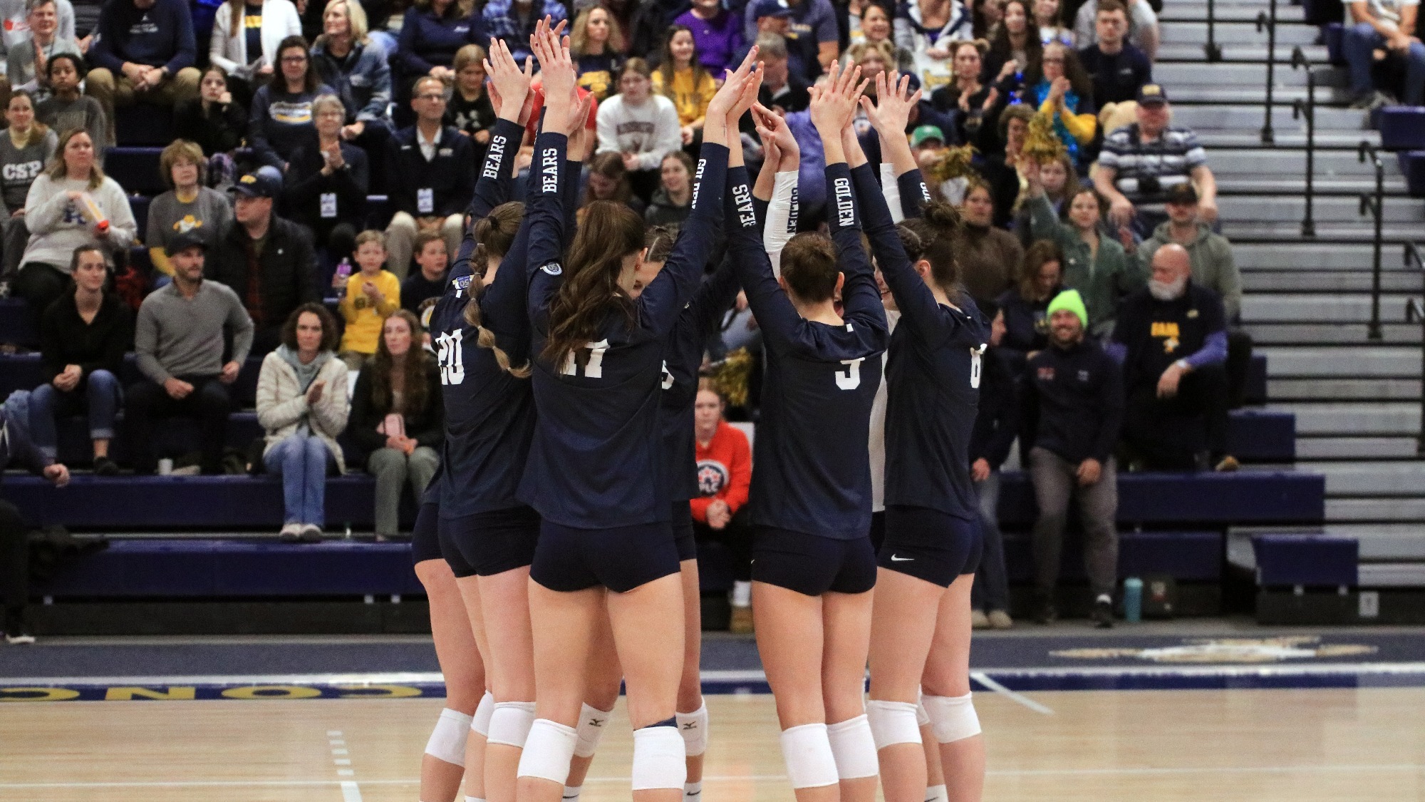 Golden Bears fall to Wildcats in Central Region Championship ...