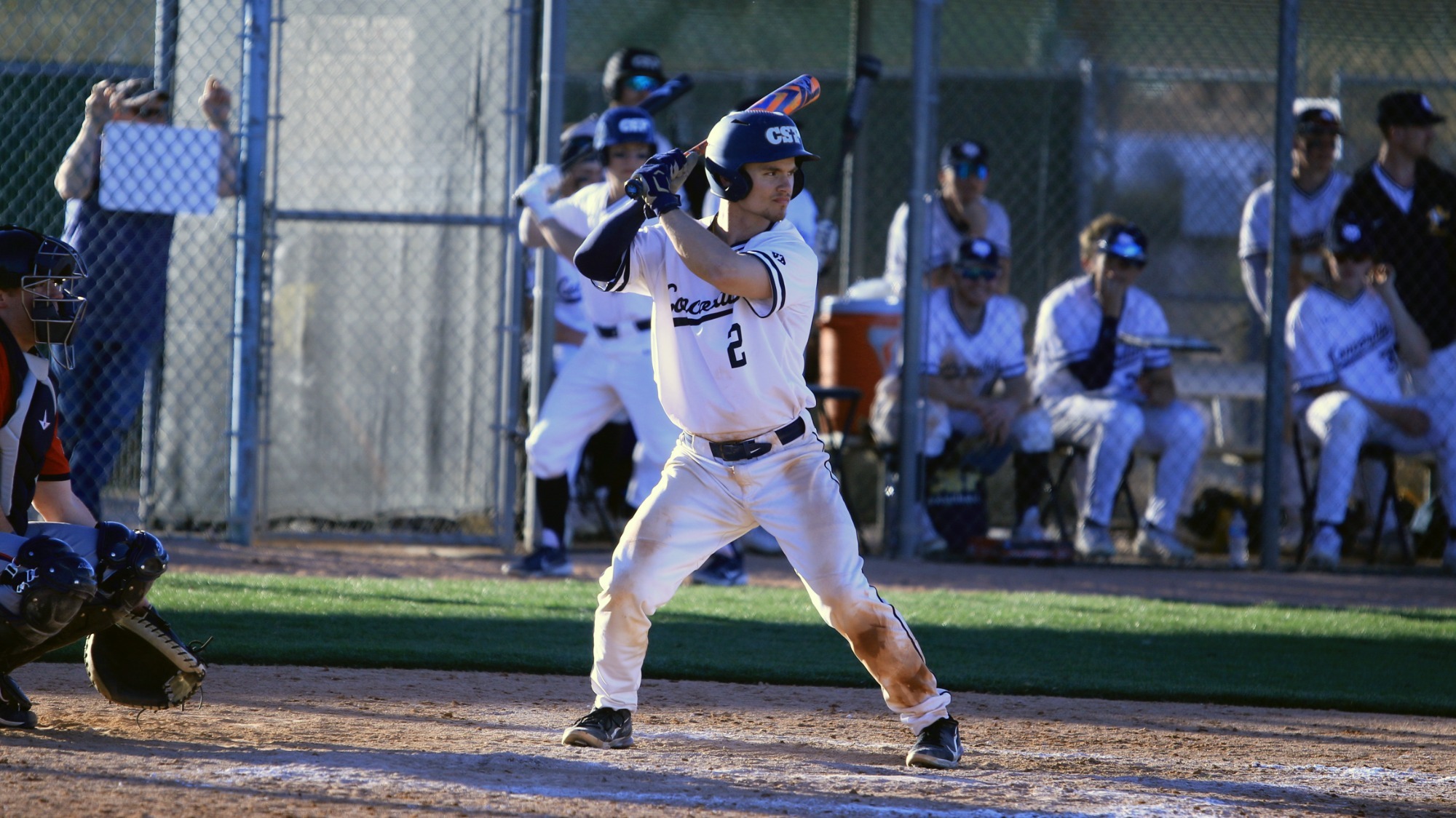 Golden Bears sweep UMD on the road - Concordia University, St. Paul ...