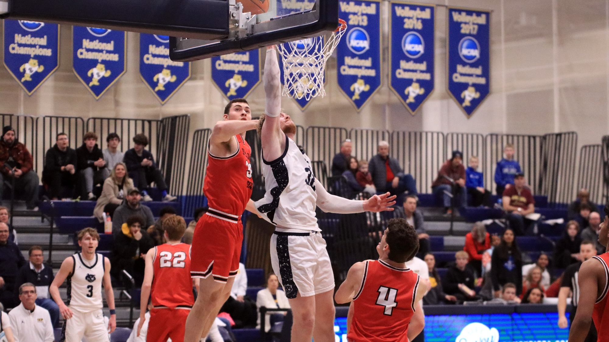 Golden Bears stifle Huskies in season finale victory - Concordia ...