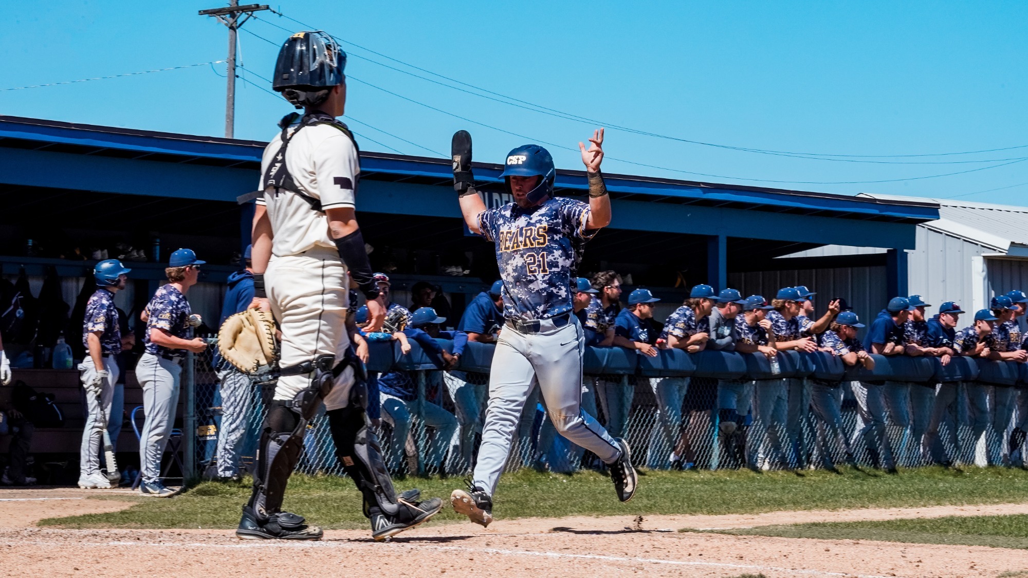Golden Bears collect series sweep over Wildcats on Sunday - Concordia ...