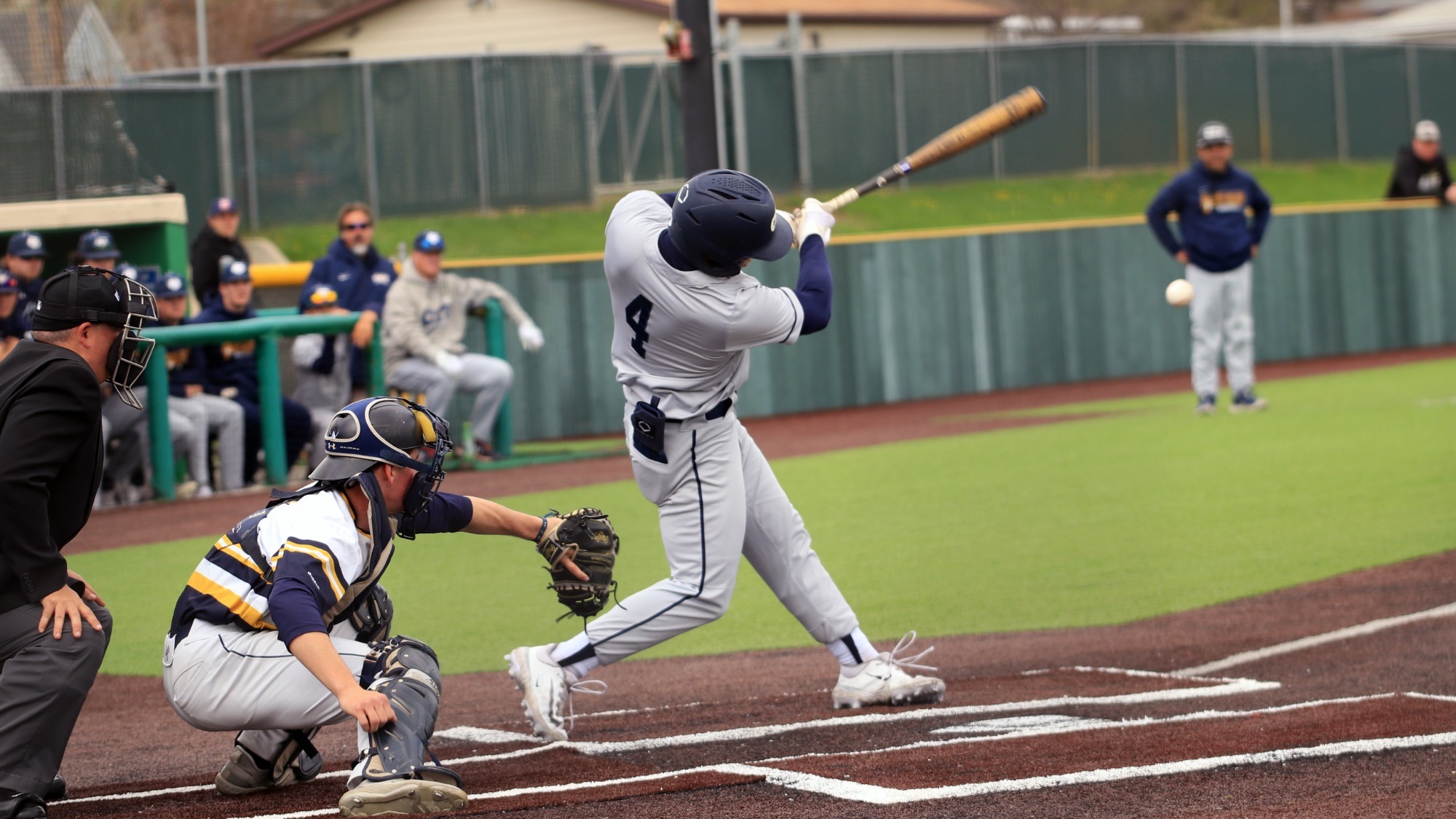 Golden Bears fall to No. 9 Augustana in the opening game of the NSIC ...