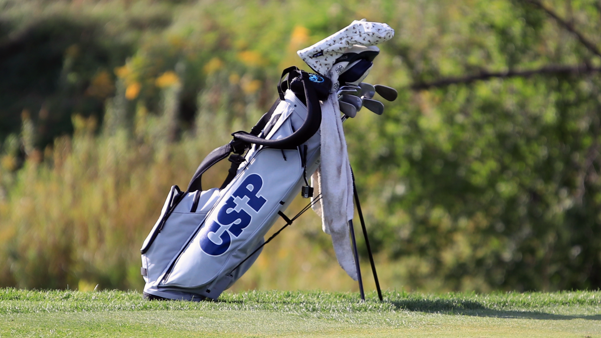 Timm records a career low as Golden Bears finish sixth at Watkins ...