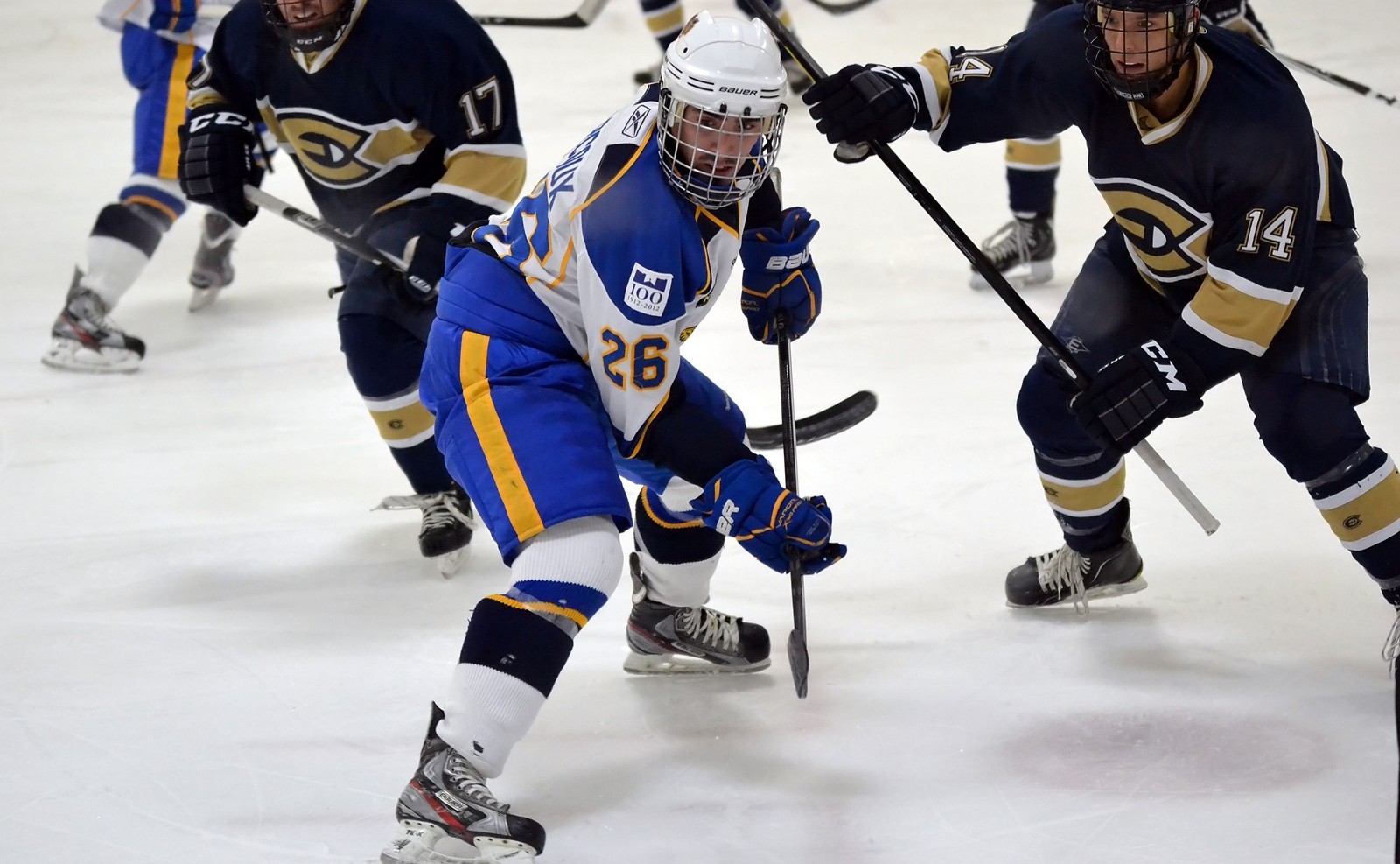Paul Marcoux - Men's Hockey - The College of St. Scholastica Athletics