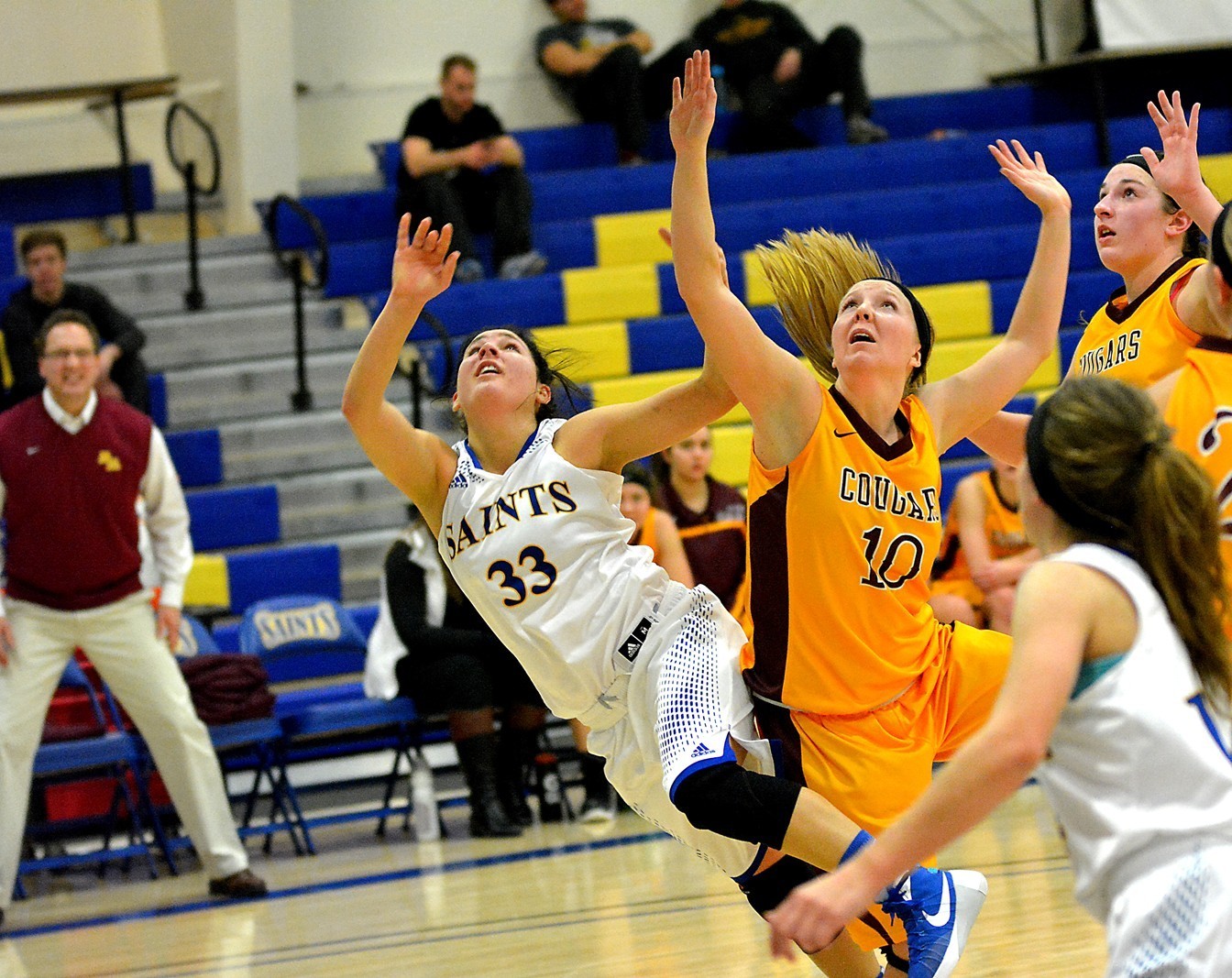 Holly Peterson - Women's Basketball - The College of St. Scholastica ...