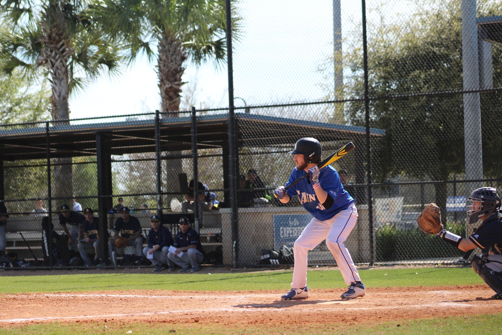 Tim Munn - Baseball - The College of St. Scholastica Athletics