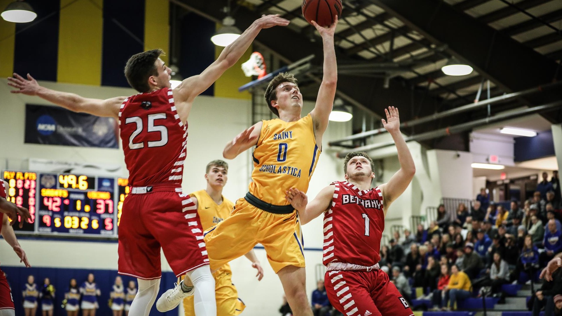 Collin Anderson - Men's Basketball - The College of St. Scholastica ...