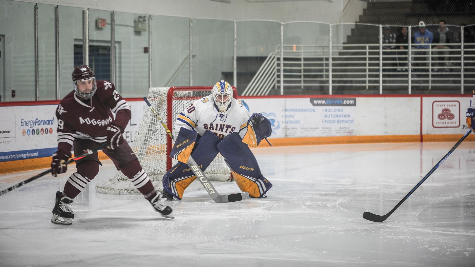 Zane Steeves - Men's Hockey - The College of St. Scholastica Athletics