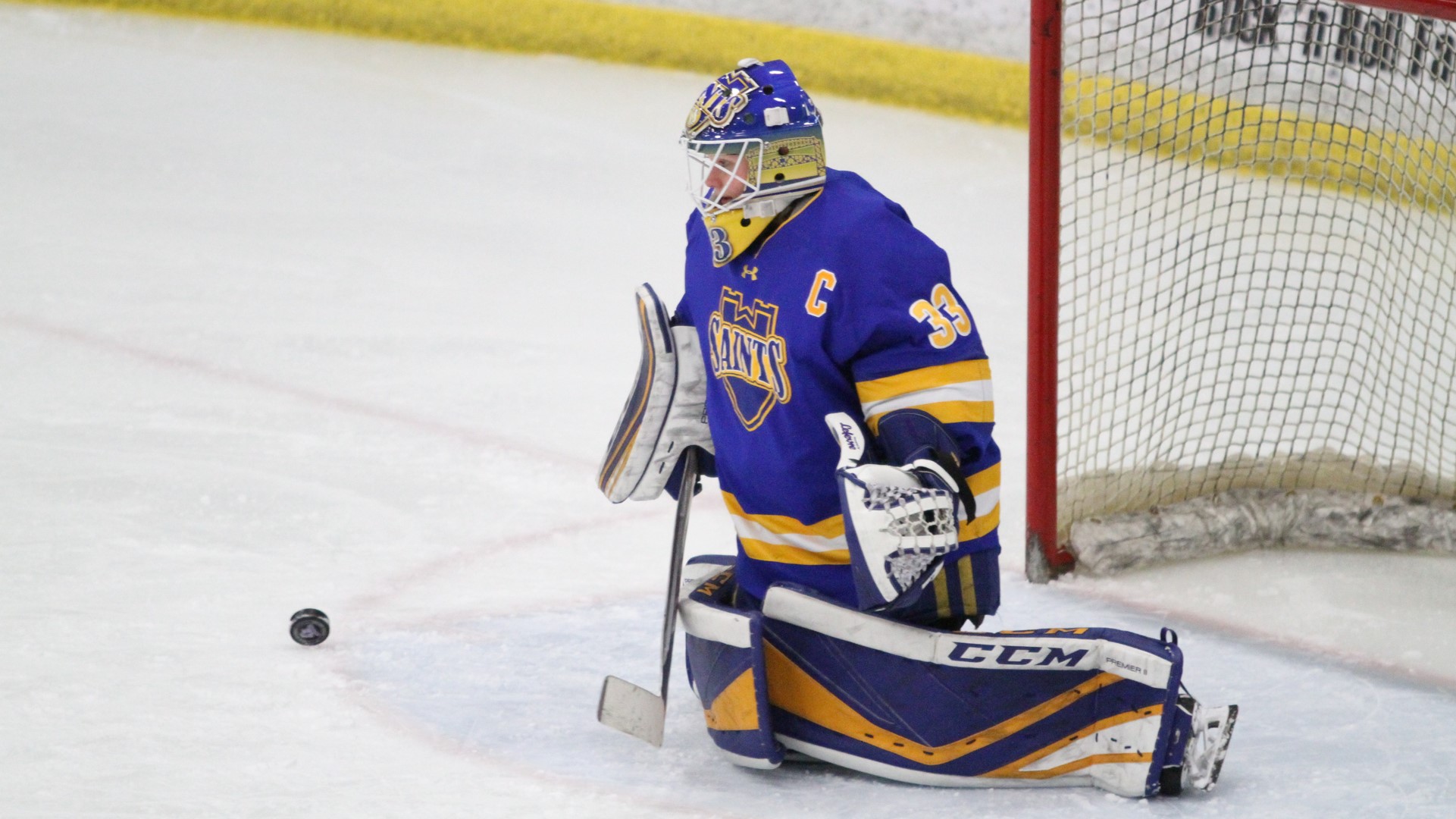 Lexi Thomeczek - Women's Hockey - The College of St. Scholastica Athletics