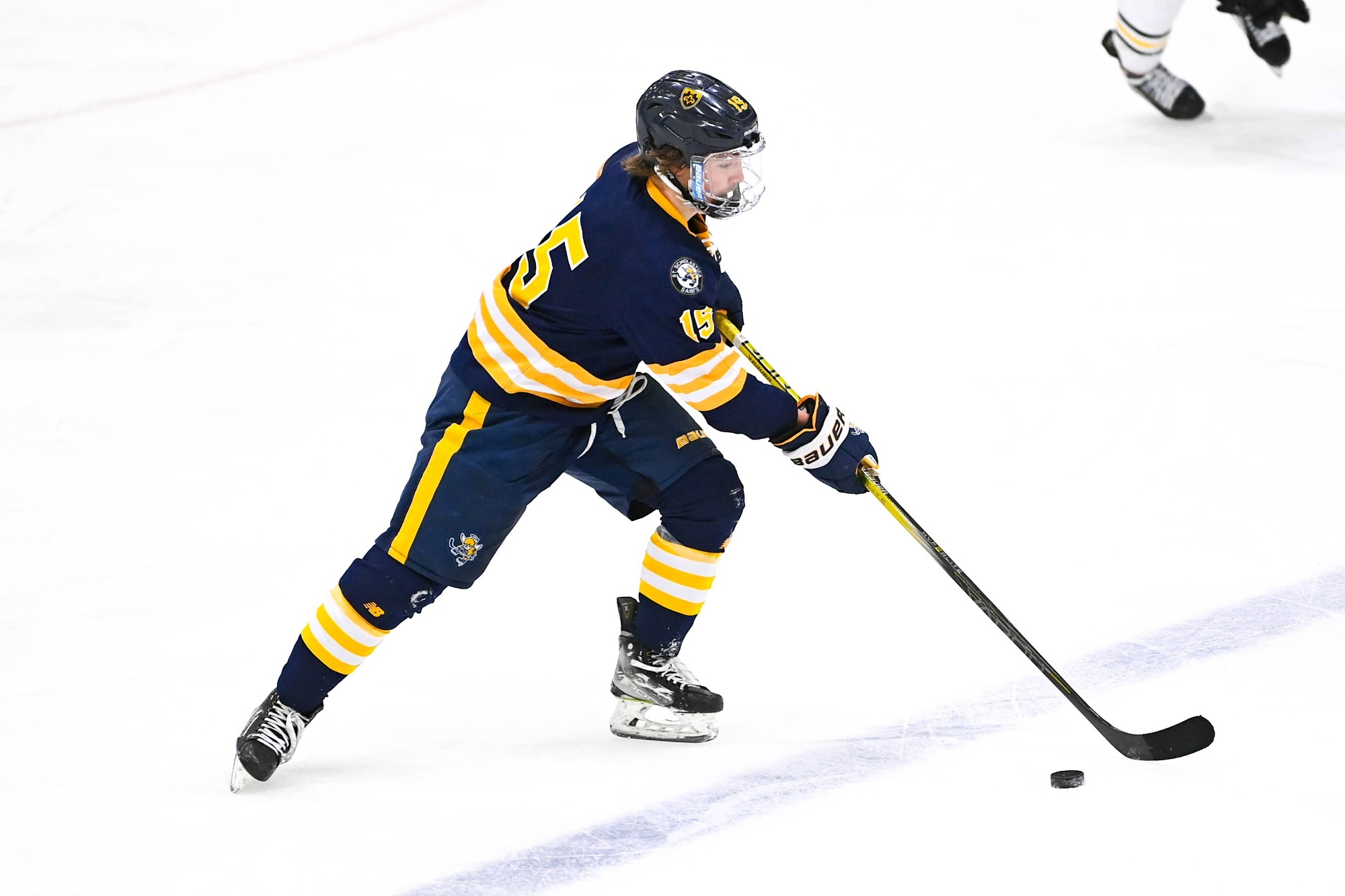 Nick Lanigan - Men's Hockey - The College of St. Scholastica Athletics