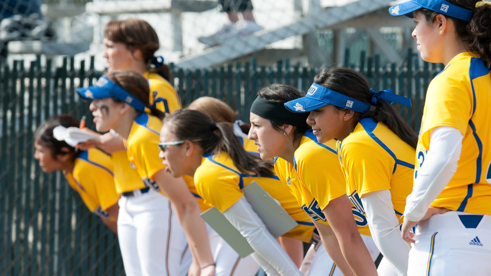 CSUB Softball Heads To New Mexico Invitational - California State ...