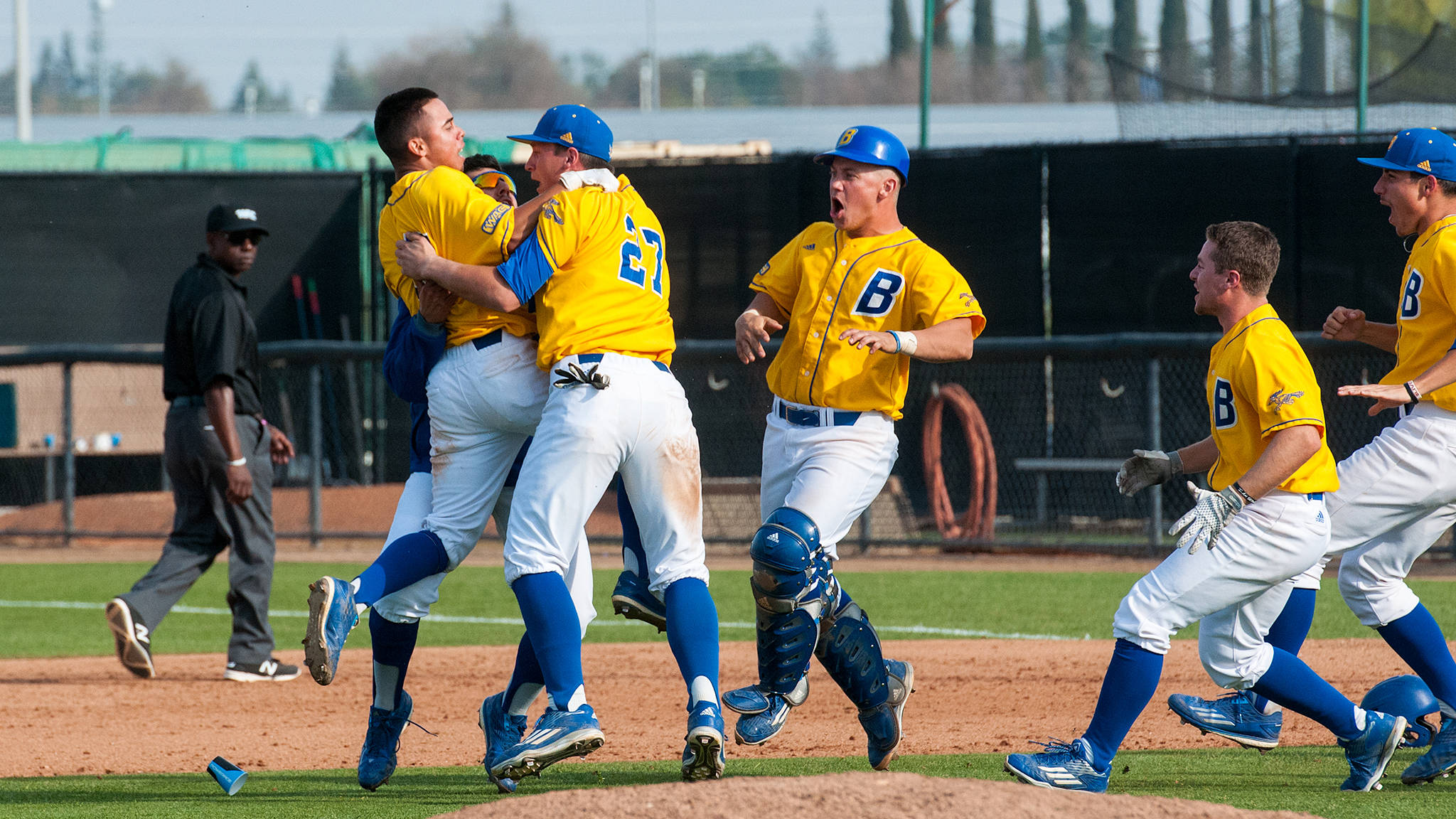 Metzgar's Single In The 11th Wins It For CSUB - California State ...