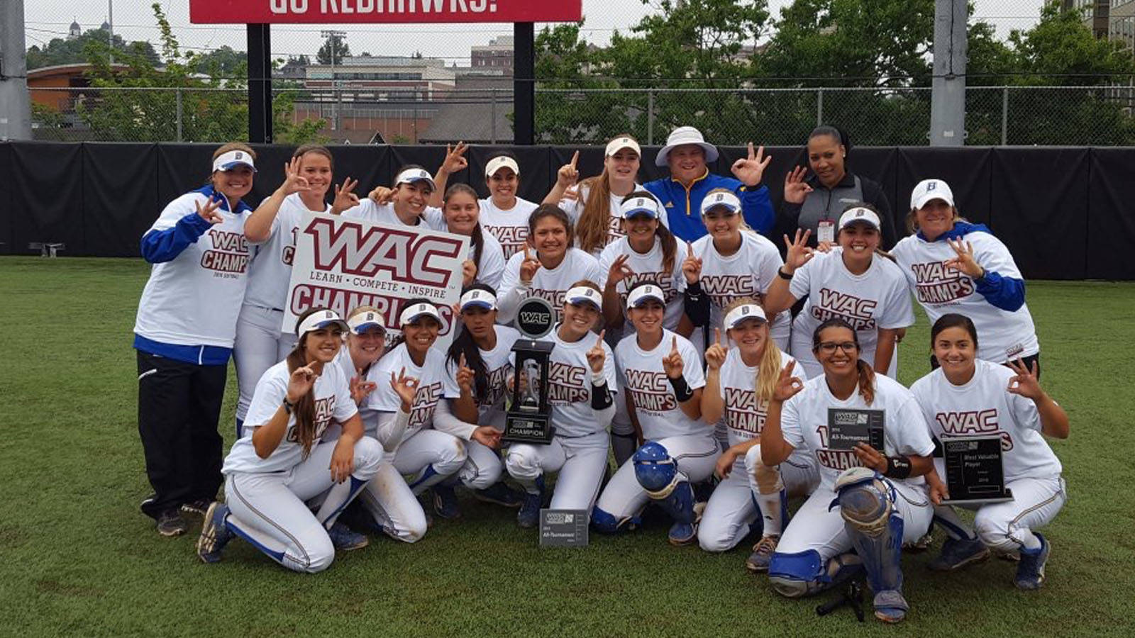 CSUB Softball Announces 2017 Schedule - California State University at ...