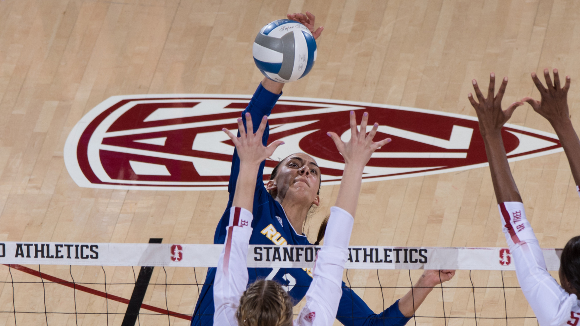 Sydney Haynes - Women's Volleyball - California State University at ...