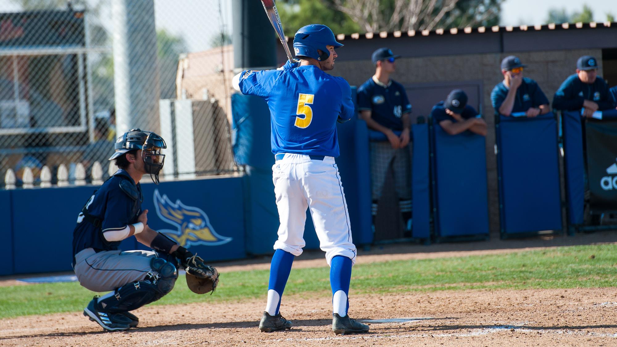 Alec Daily - Baseball - California State University at Bakersfield ...