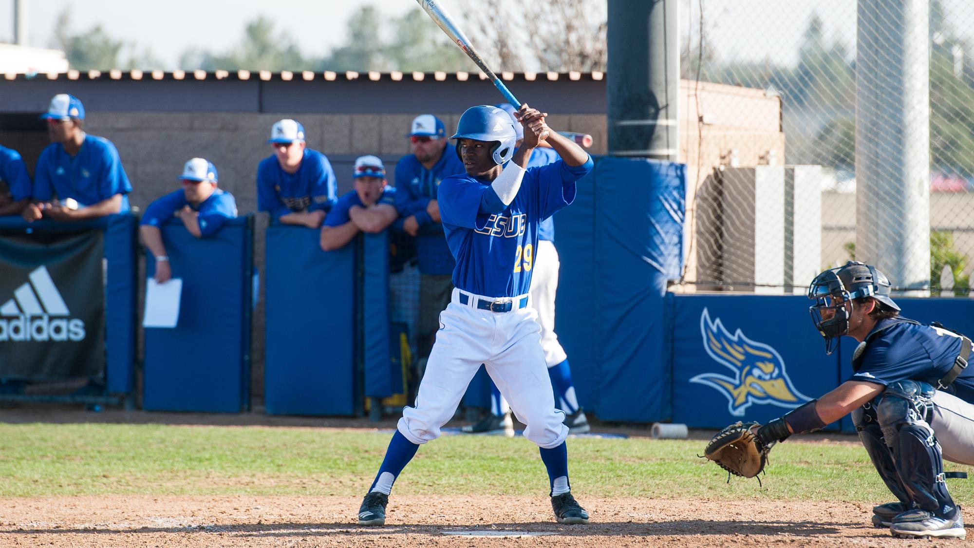 Buck Anderson - Baseball - California State University at Bakersfield ...