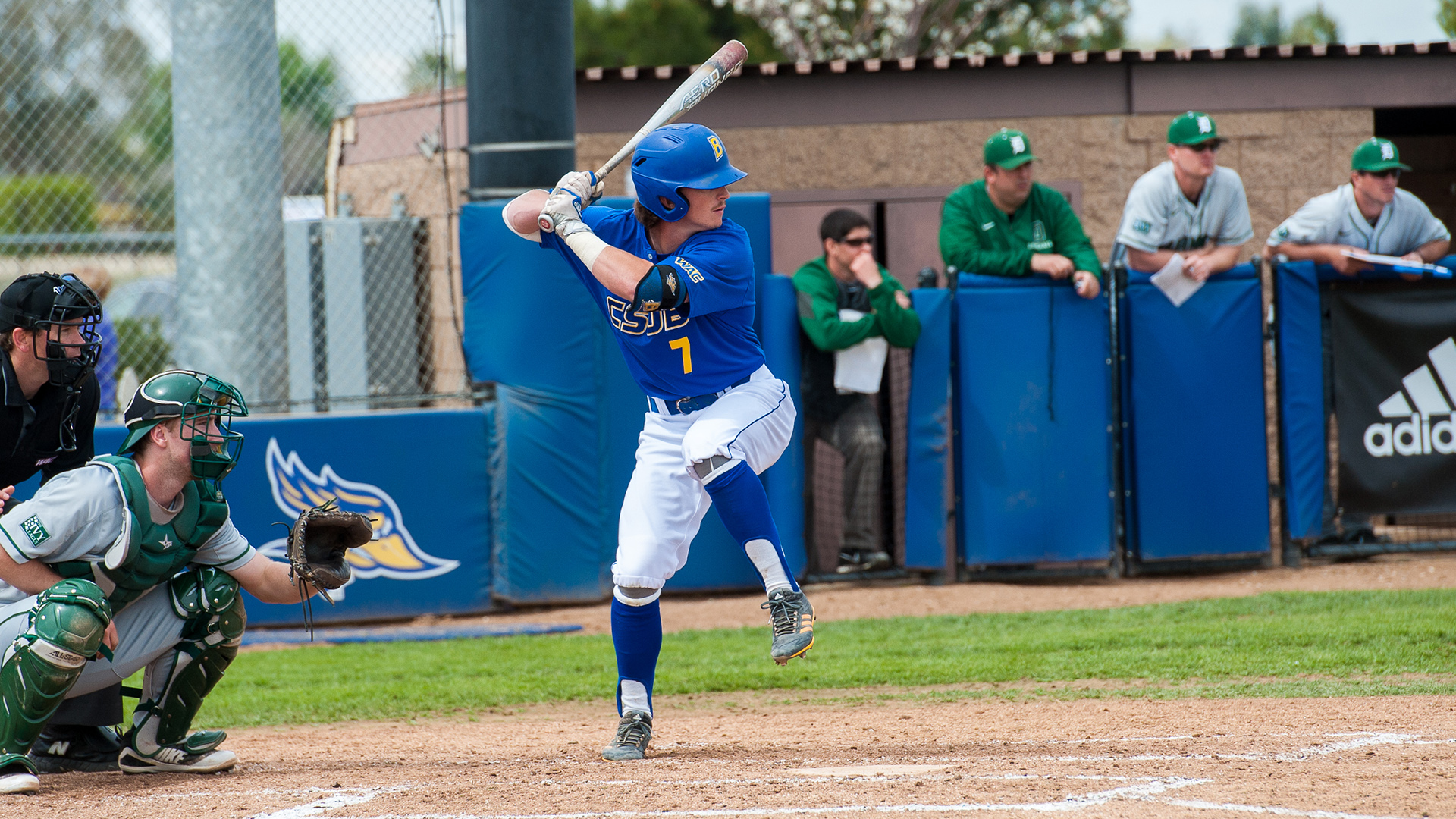 Andrew Penner - Baseball - California State University at Bakersfield ...