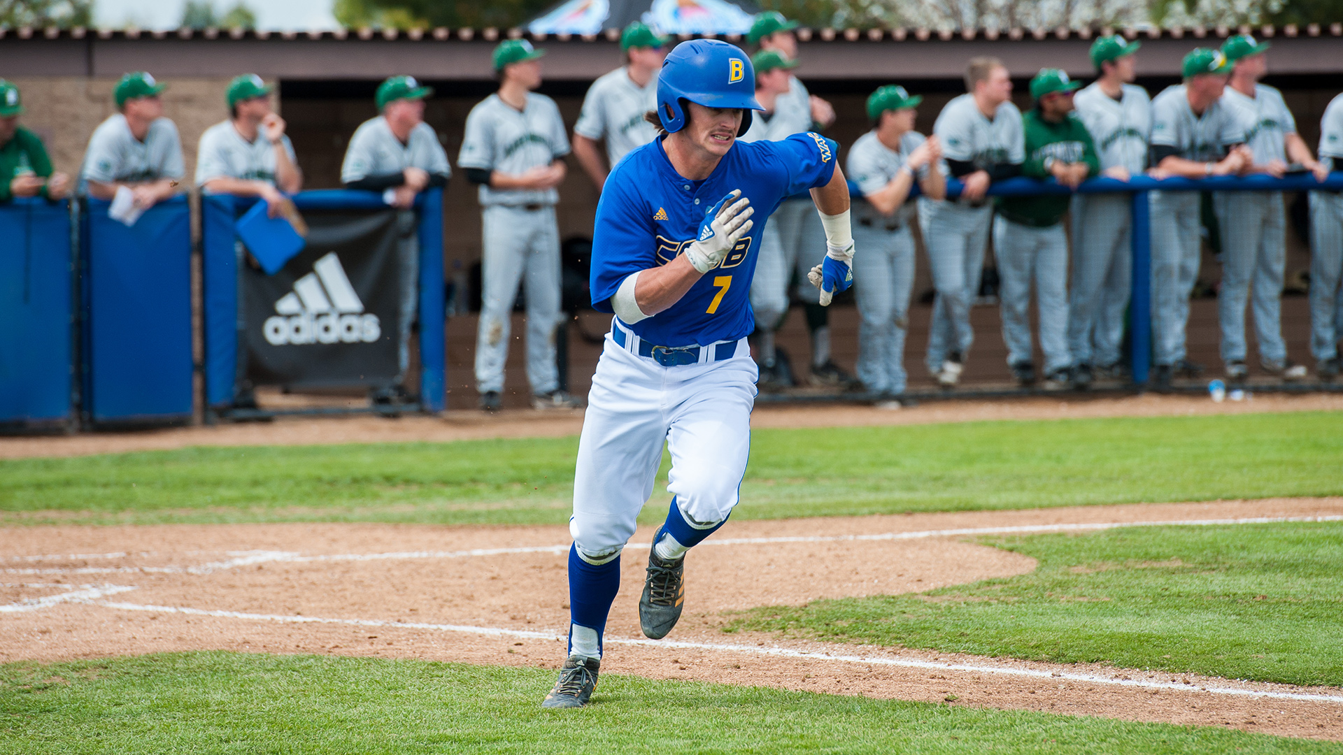 Andrew Penner - Baseball - California State University at Bakersfield ...