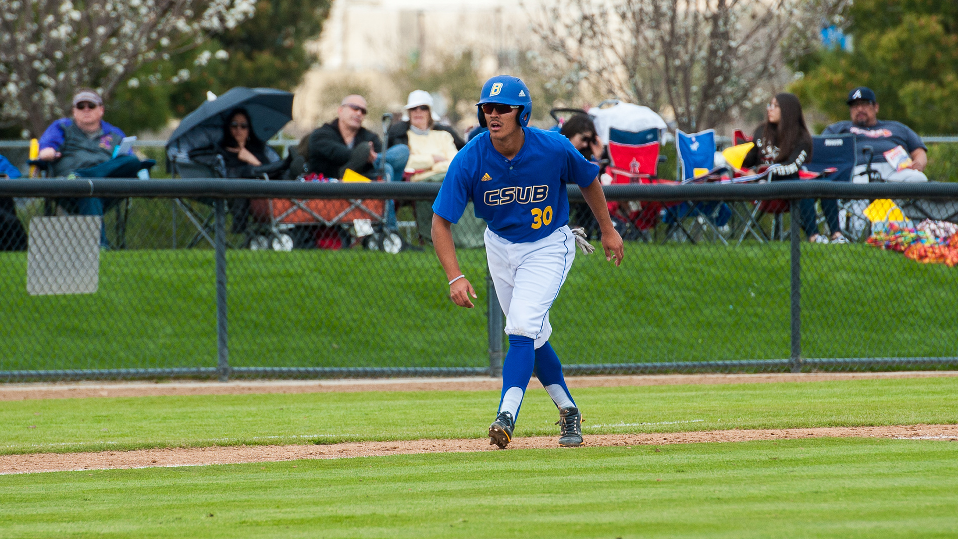 Mark Pena - Baseball - California State University at Bakersfield Athletics