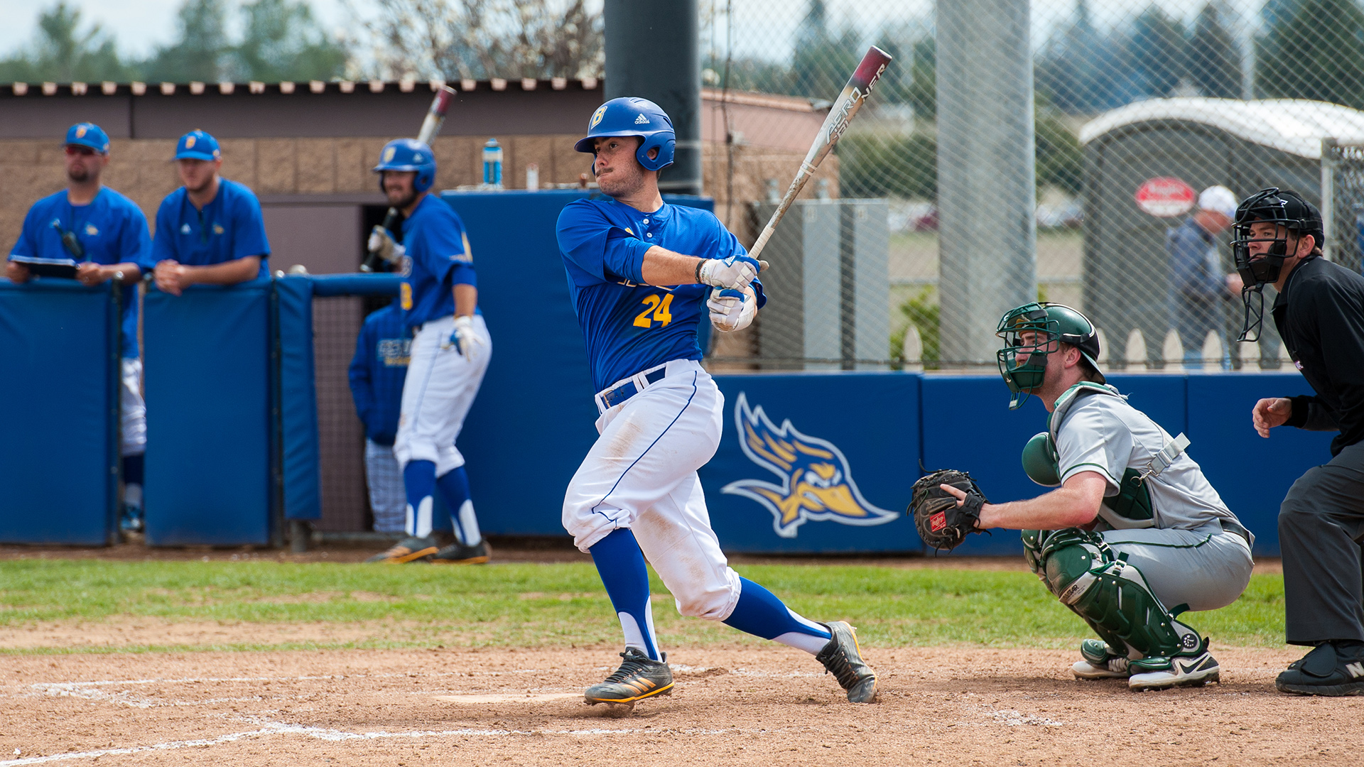 Ryan Koch - Baseball - California State University at Bakersfield Athletics
