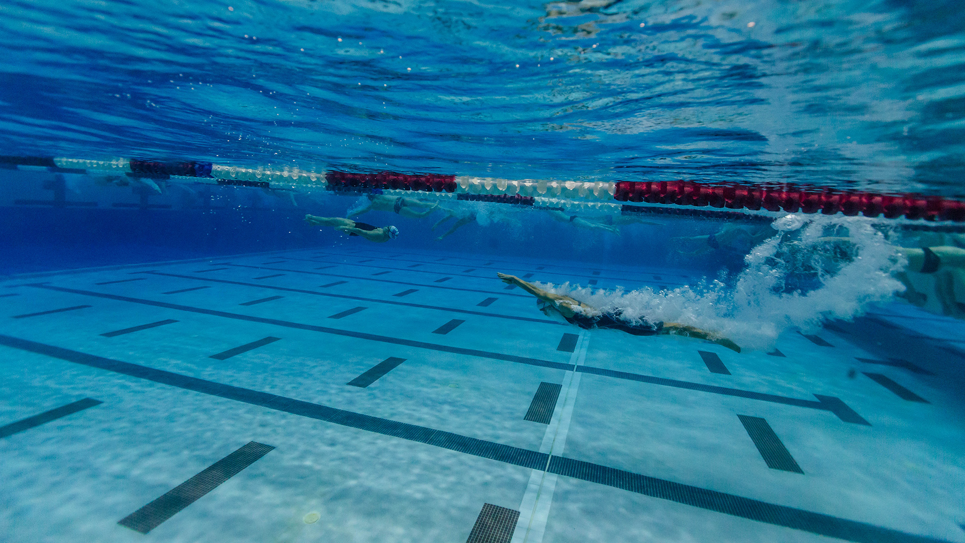 Audrey Willoughby - Women's Swim & Dive - California State University ...