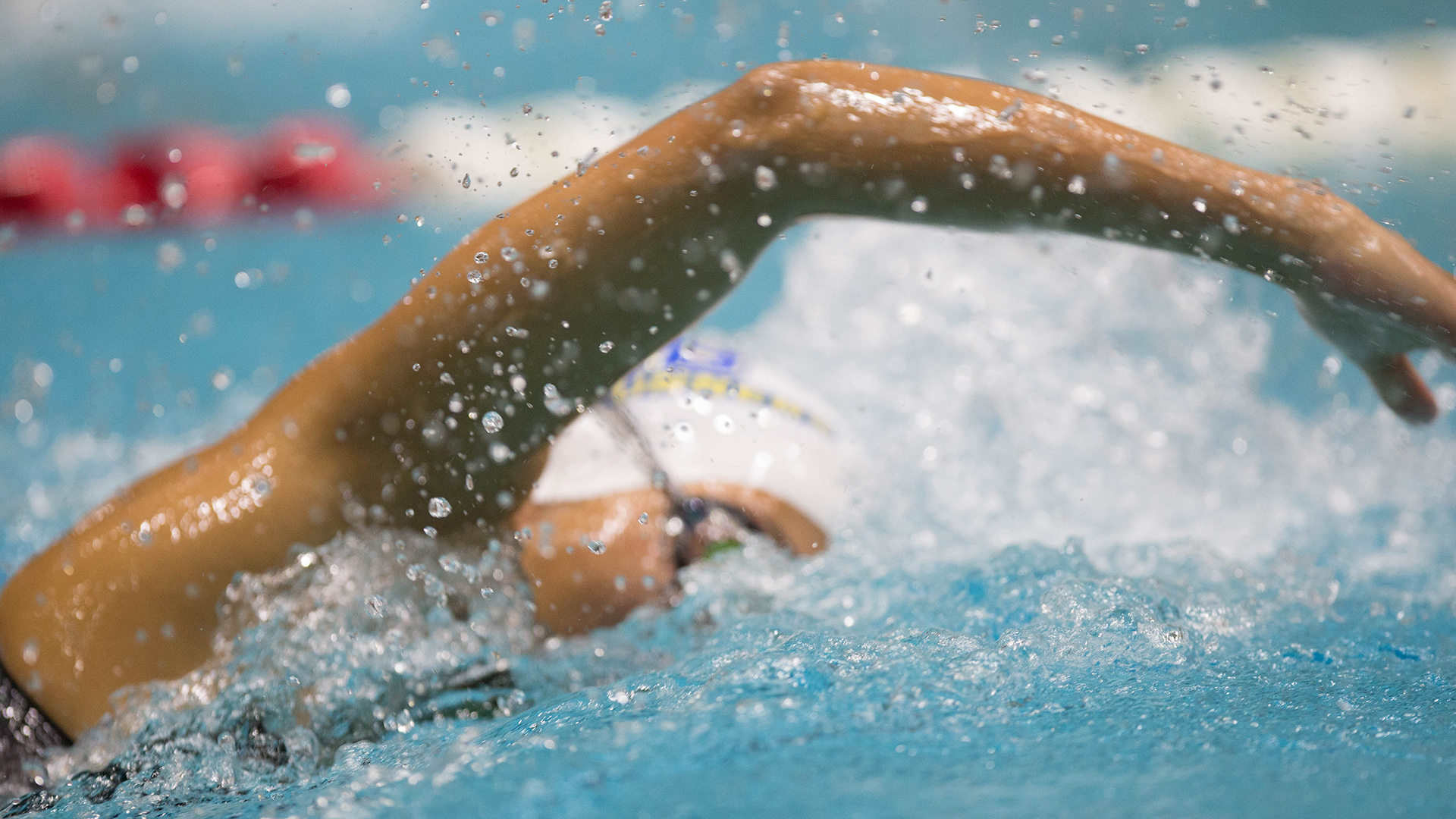 Sabrina Zavala - Women's Swim & Dive - California State University at ...