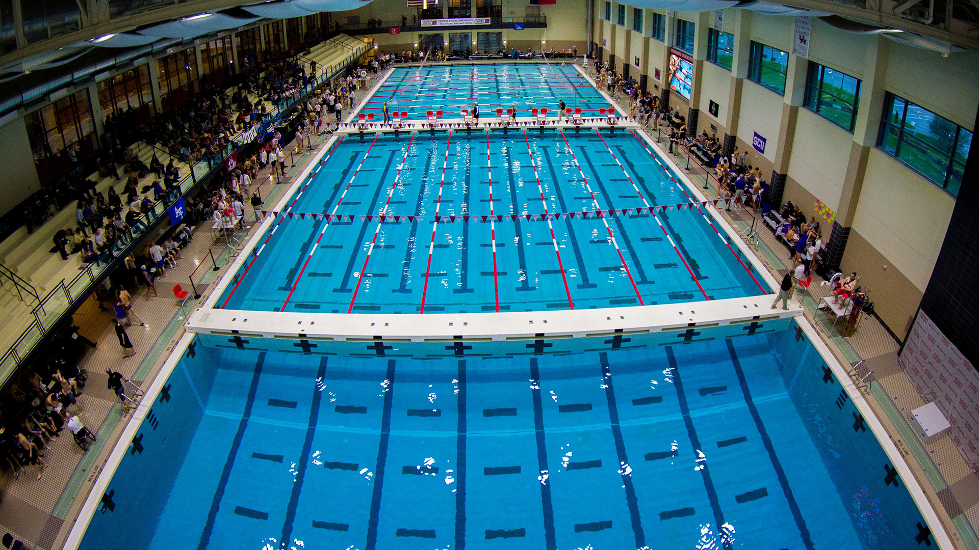 Swim And Dive Named Fall Scholar All American Teams California State University At Bakersfield