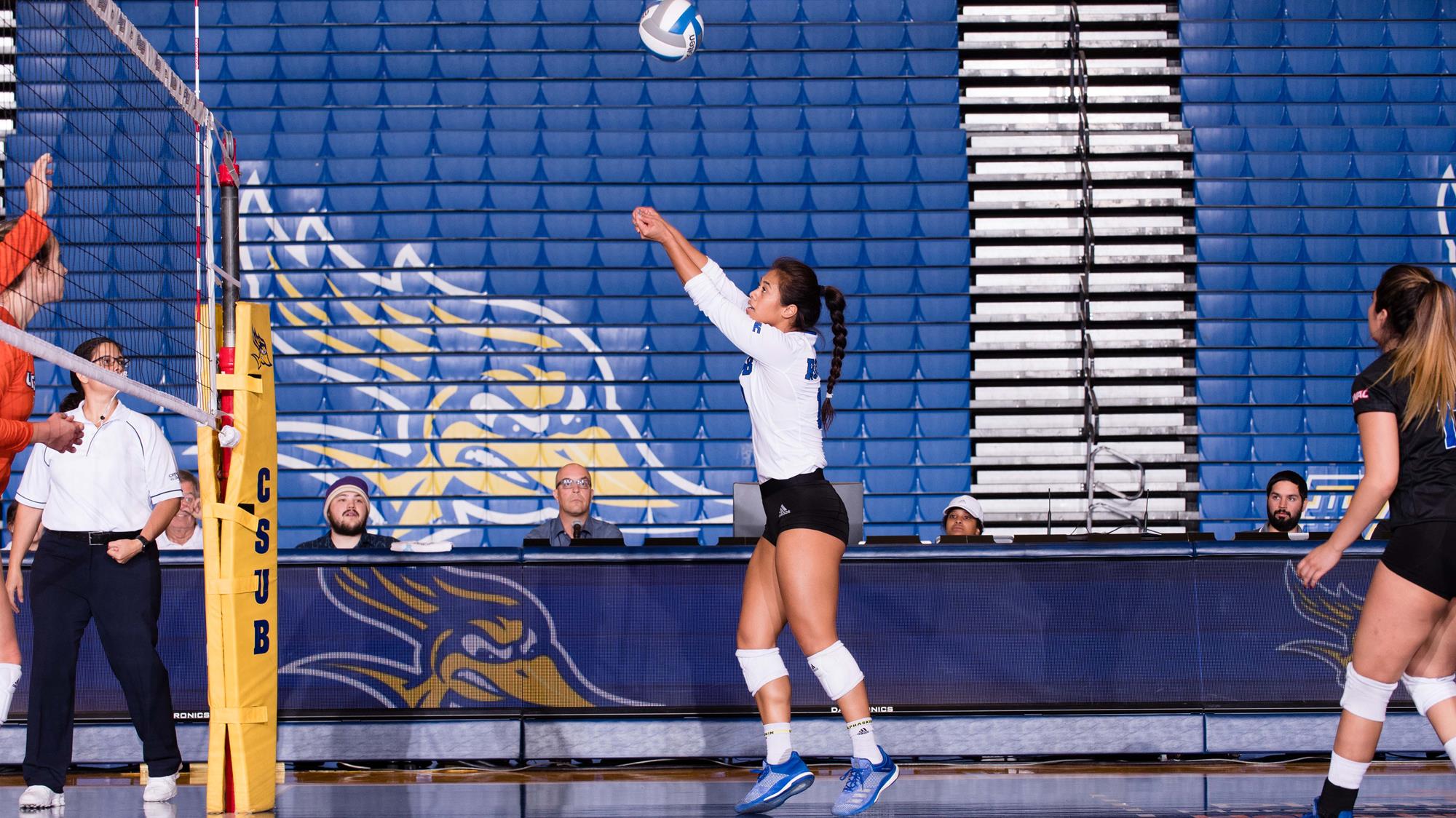 Briannah Mariner - Women's Volleyball - California State University at ...