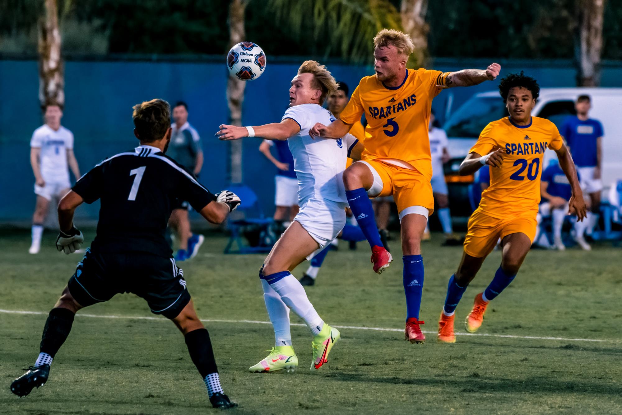 `Runners Open Big West Era on the Road - California State University at ...