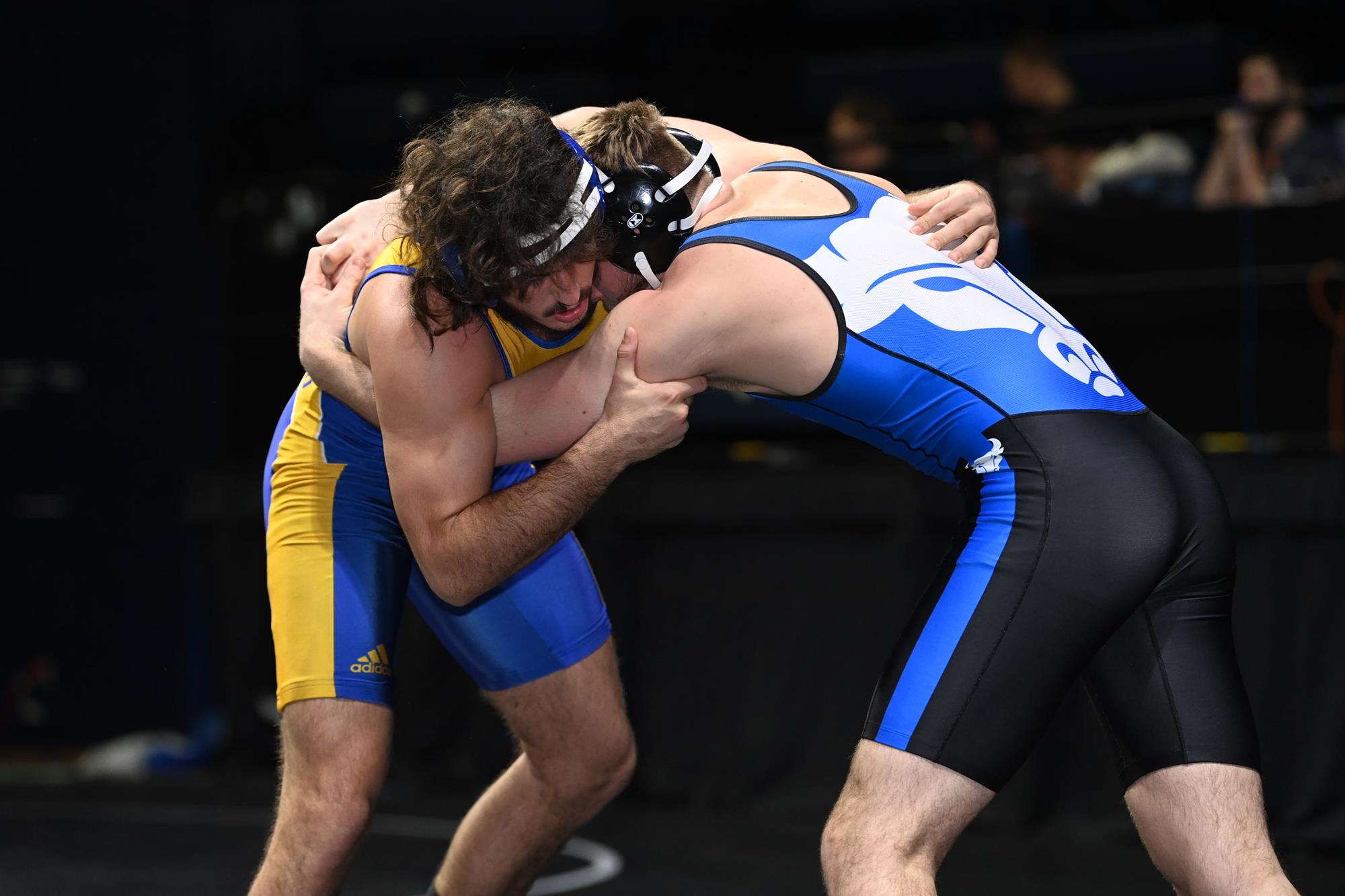 Roadrunners Embark on Four Dual Road Trip - California State University ...