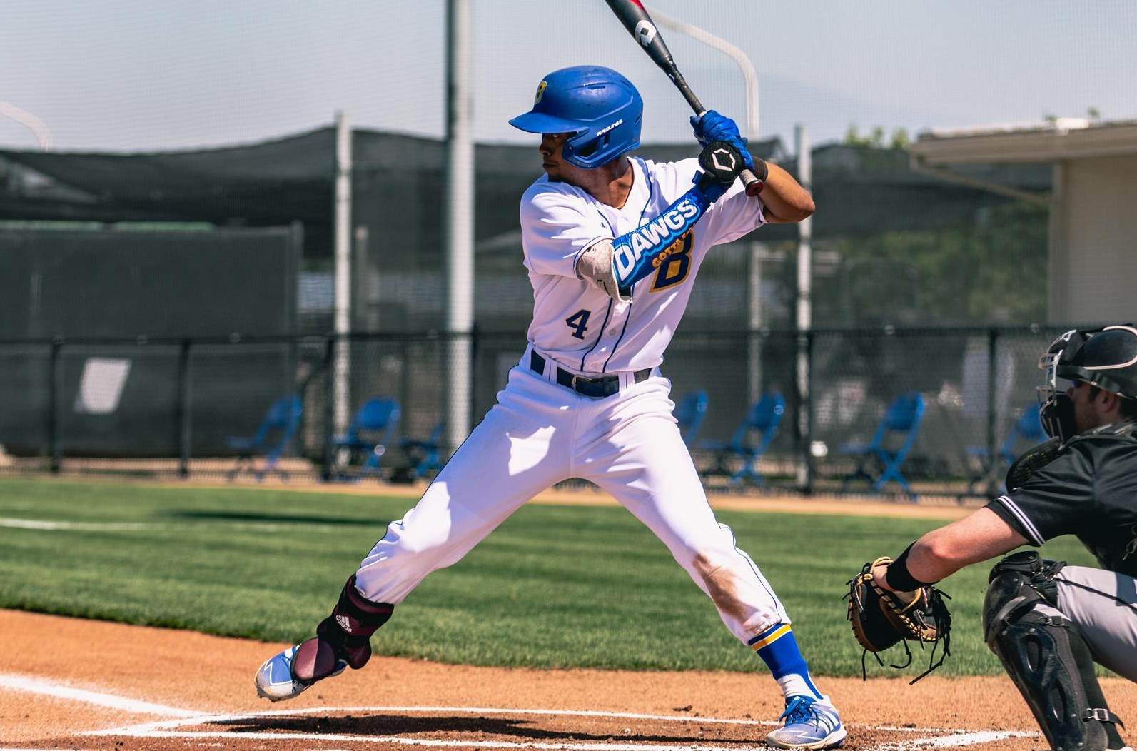 Revamped Outfield Key for Roadrunner Baseball - California State ...