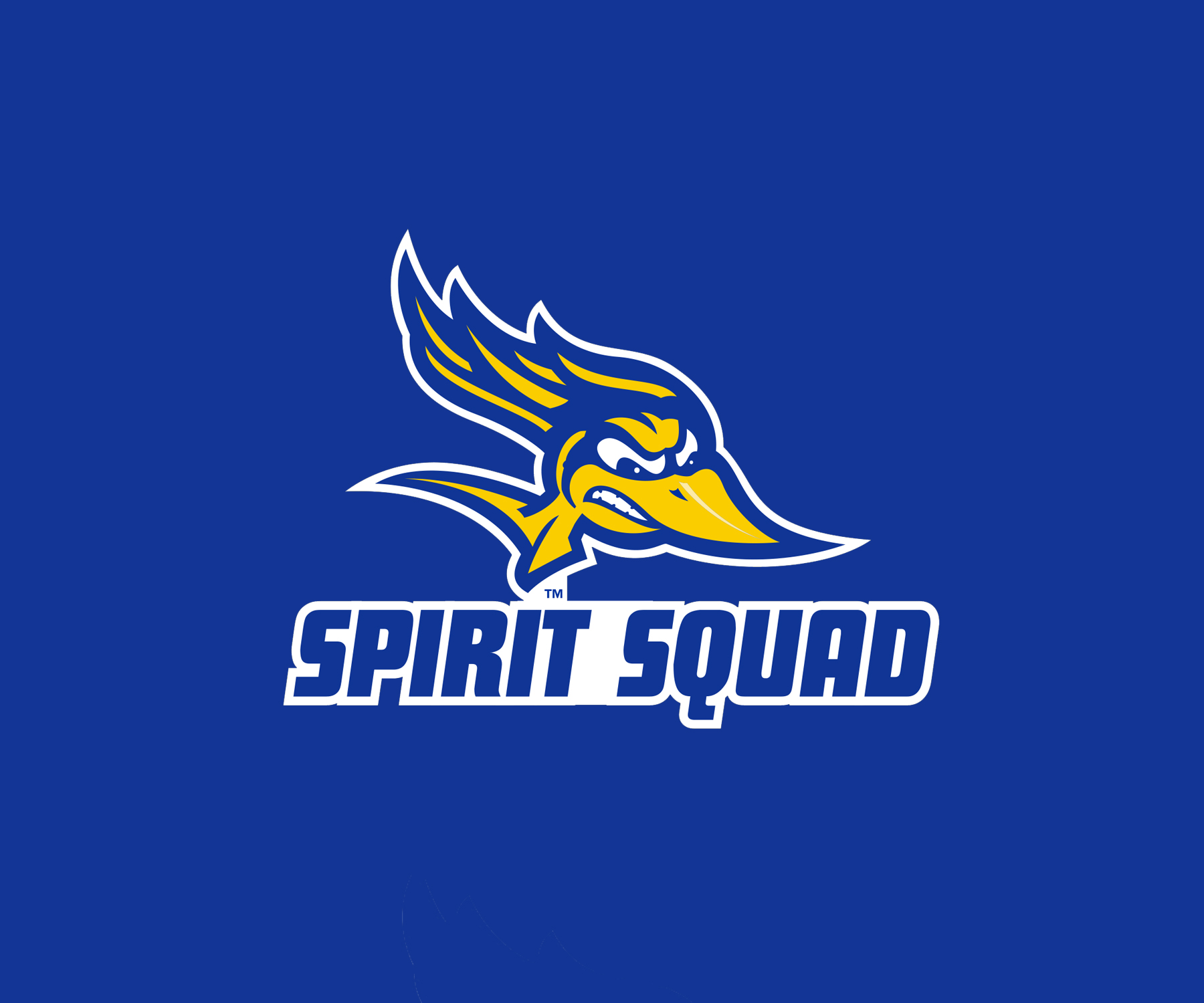 Roadrunner Athletics: Spirit Squads - California State University at ...