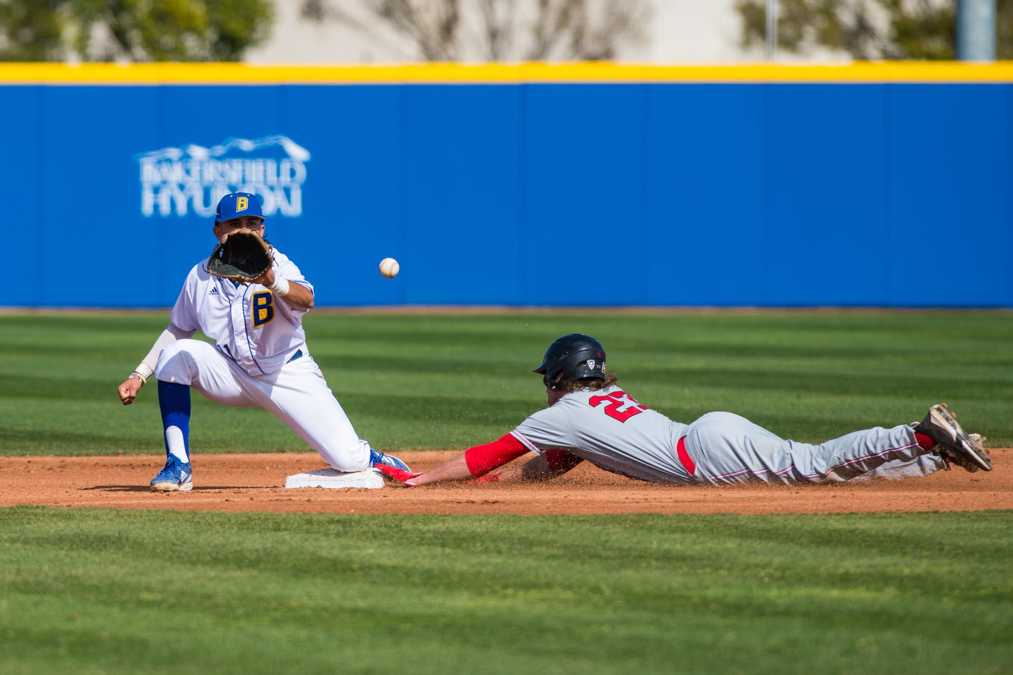 Nick Salas - Baseball - California State University at Bakersfield ...