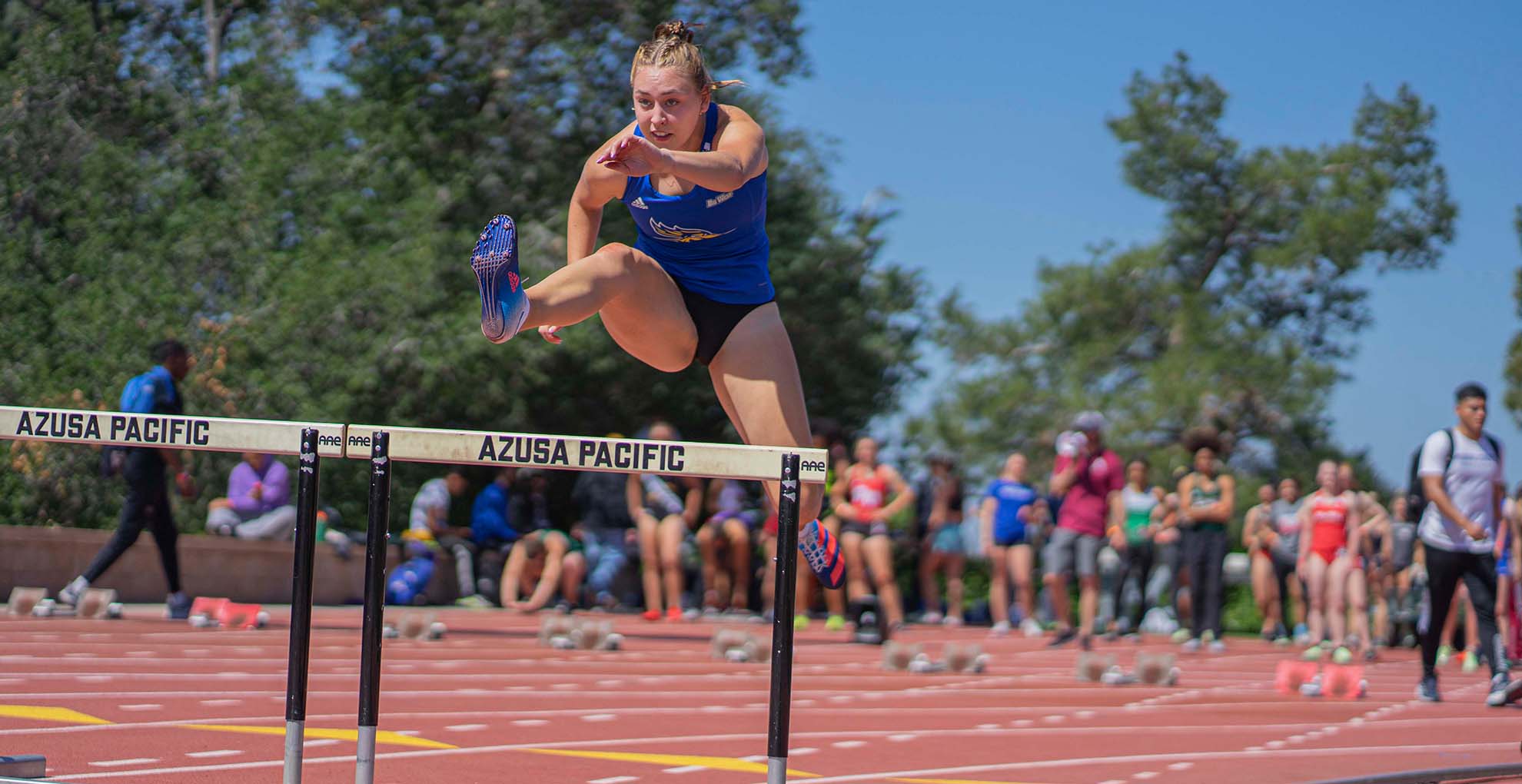 Julia Stein - Track & Field - California State University at ...