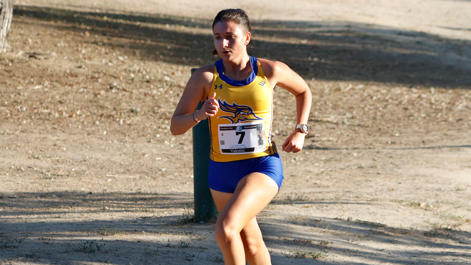 Valentic Places Third in CSUB Debut - California State University at ...