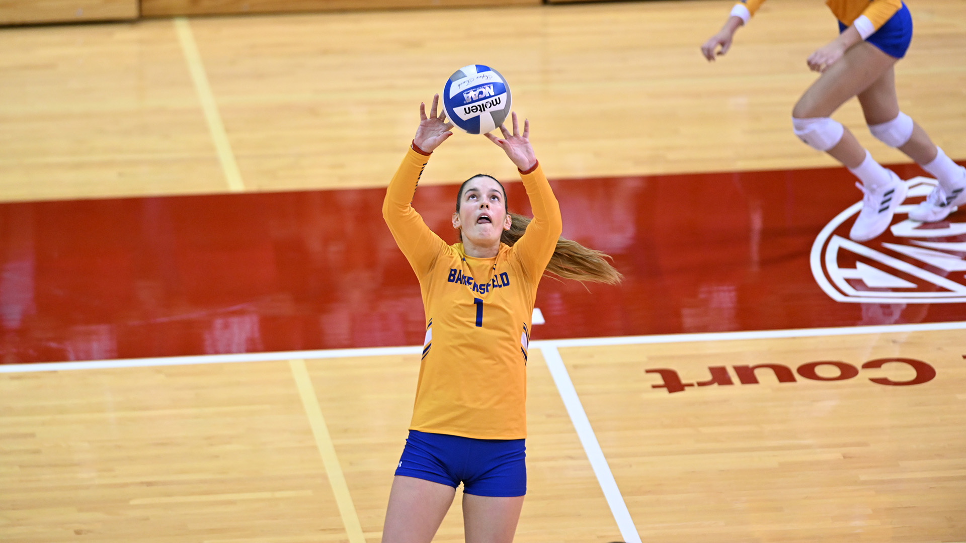 CSUB Rides Success into Toughest Non-Conference Tourney - California ...