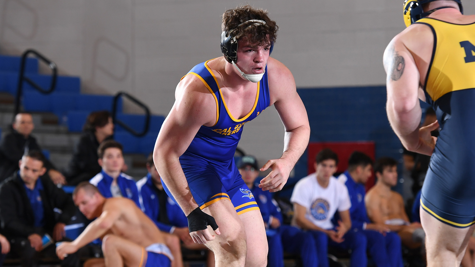 `Runner Recap: Nov. 13-19 - California State University at Bakersfield ...