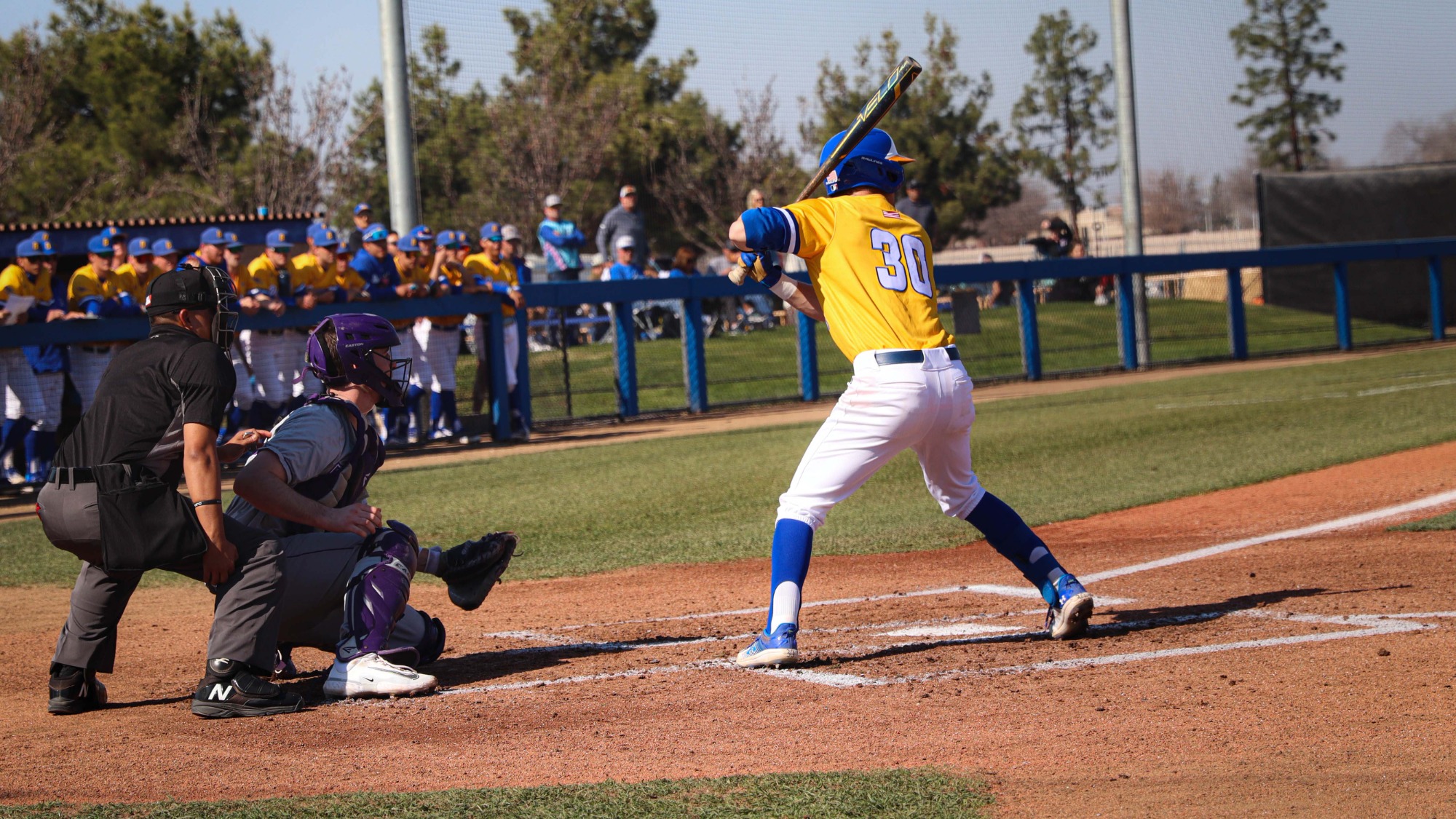 Nic Anderson-Vine - Baseball - California State University at ...