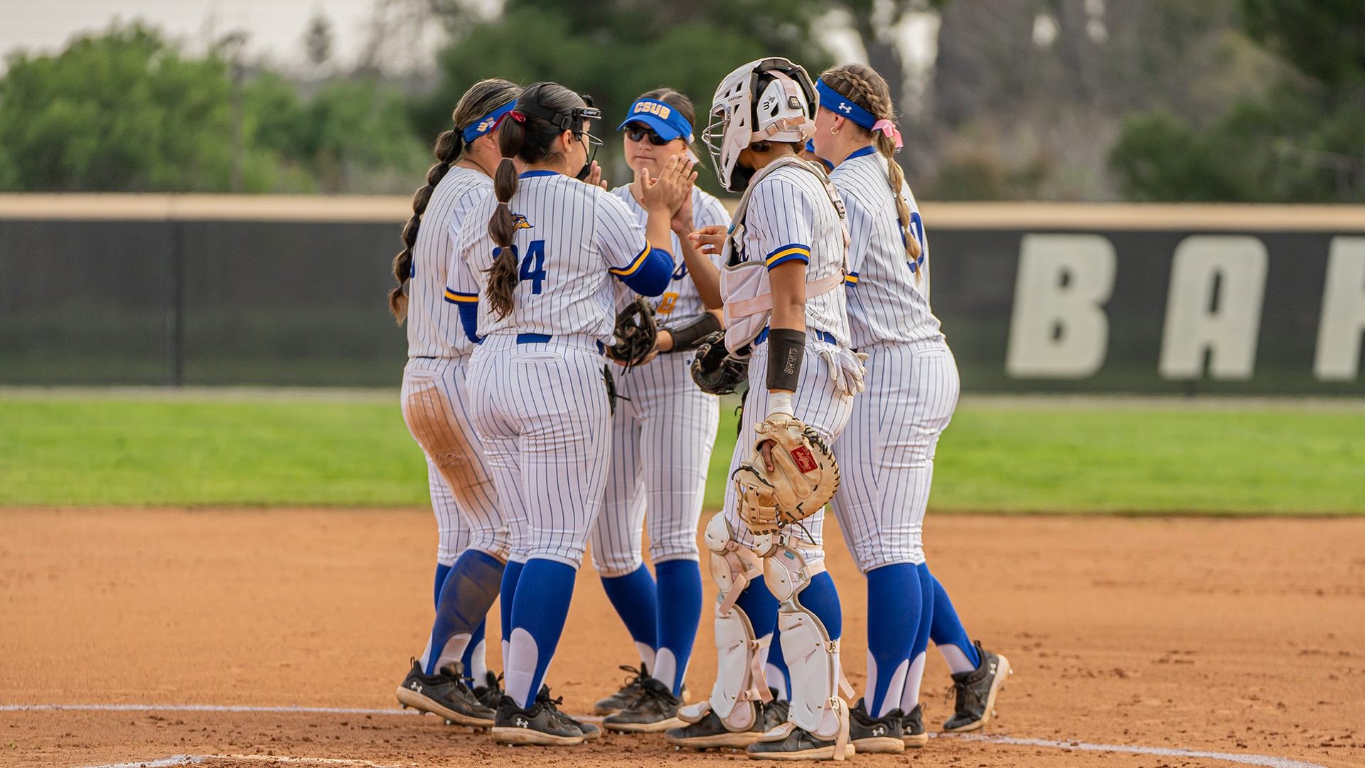 CSUB Drops a Pair of Doubleheader Games to UCSD - California State ...
